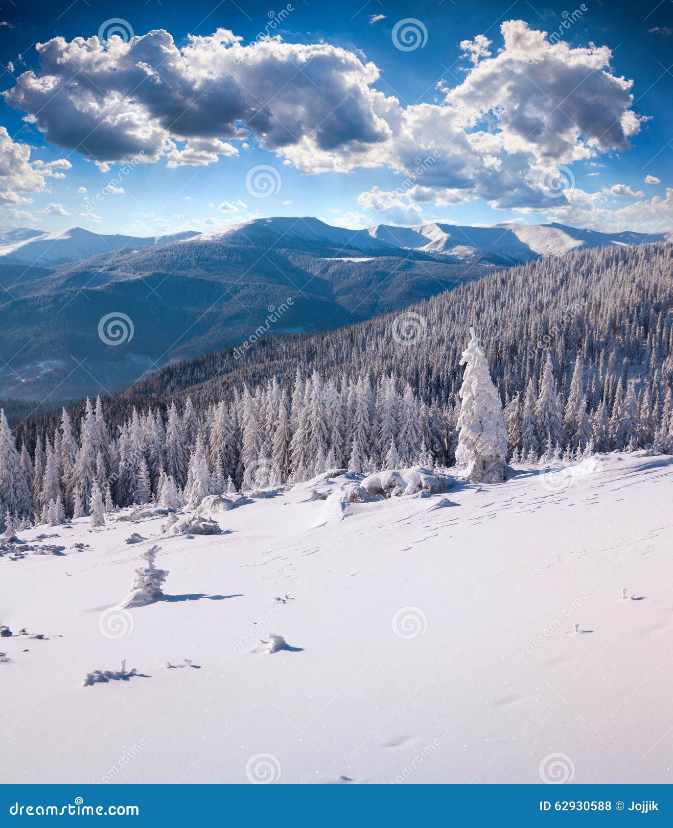 Sunne Morning Scene in Winter Mountain. Stock Photo - Image of hoar ...