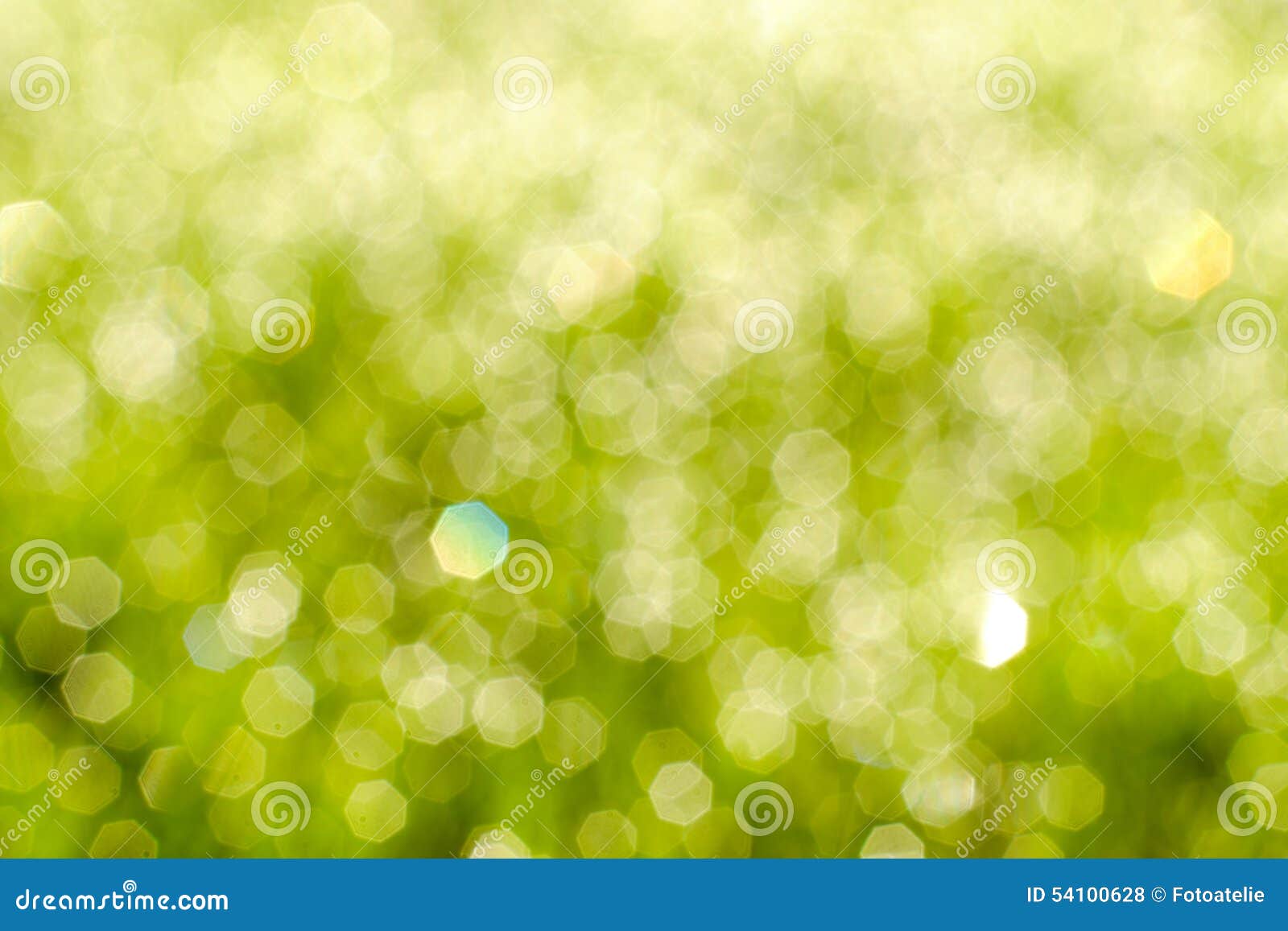 Sunny Abstract Green Nature Background. Stock Photo - Image of blur ...
