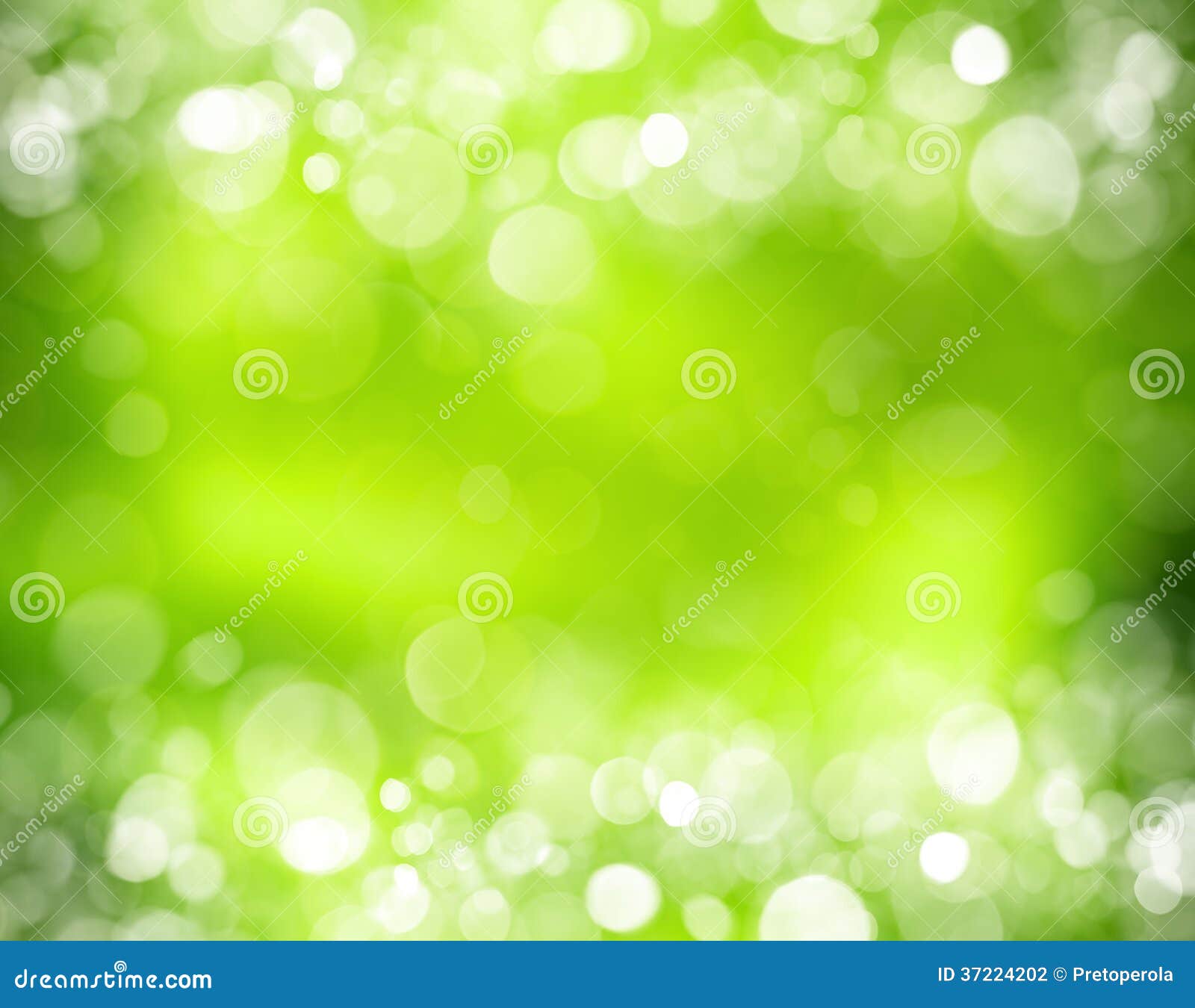 Sunny Abstract Green Nature Background Stock Photo - Image of green ...