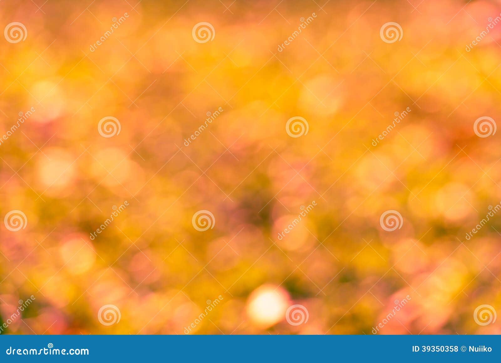Sunny Abstract Green Nature Background Stock Photo - Image of blur ...