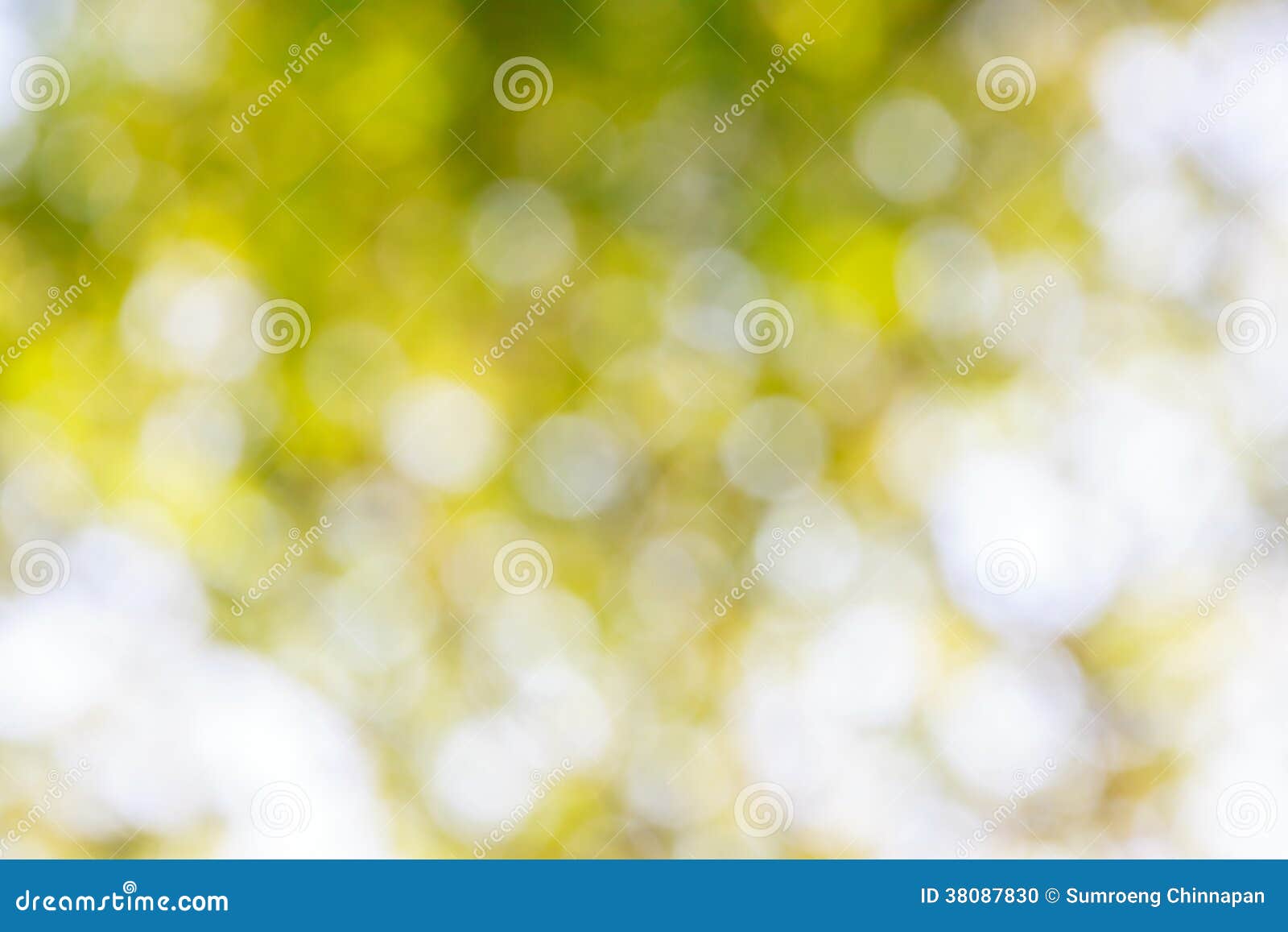 Sunny Abstract Green Nature Background Stock Photo - Image of morning ...