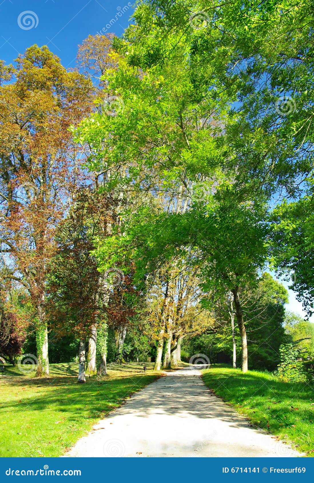 Sunny alley stock image. Image of october, card, november - 6714141