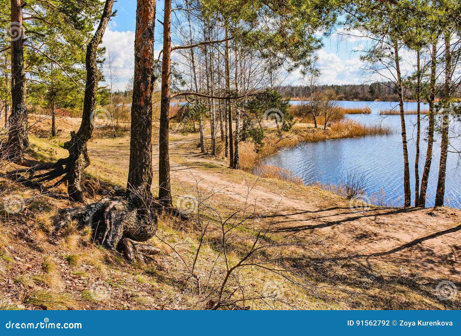 Sunny April day stock photo. Image of reflection, curves - 91562792