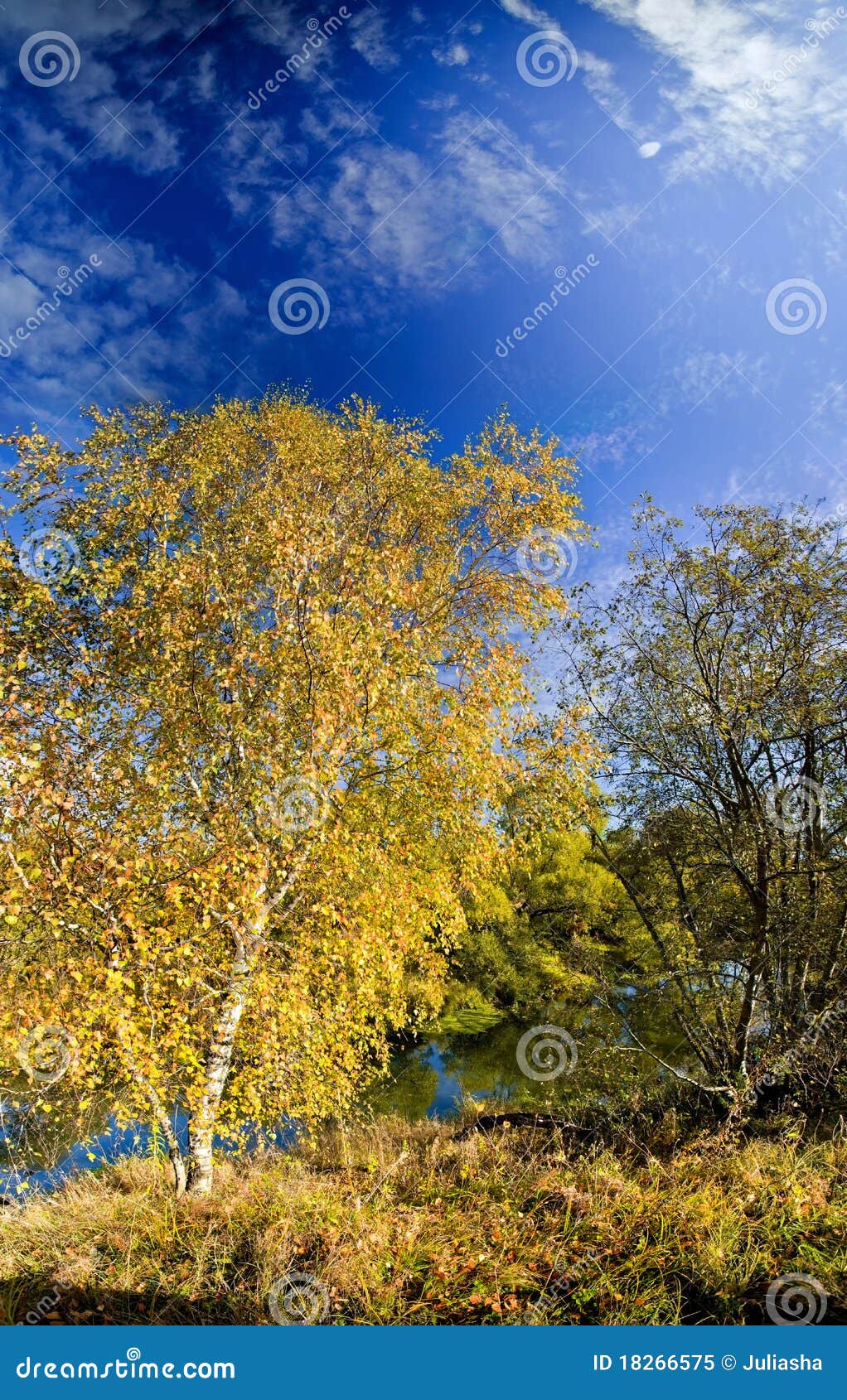 Sunny autumn day stock image. Image of autumn, panorama - 18266575
