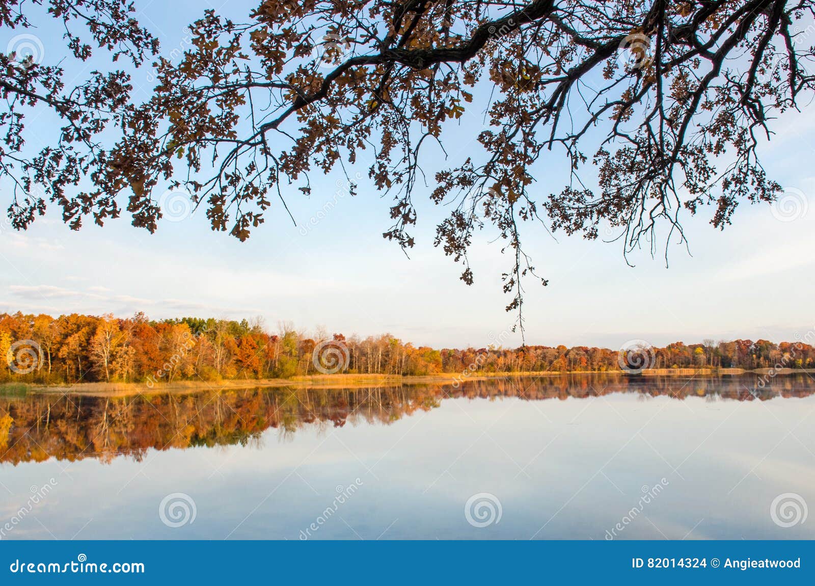 Sunny Autumn day stock photo. Image of lake, colors, nature - 82014324