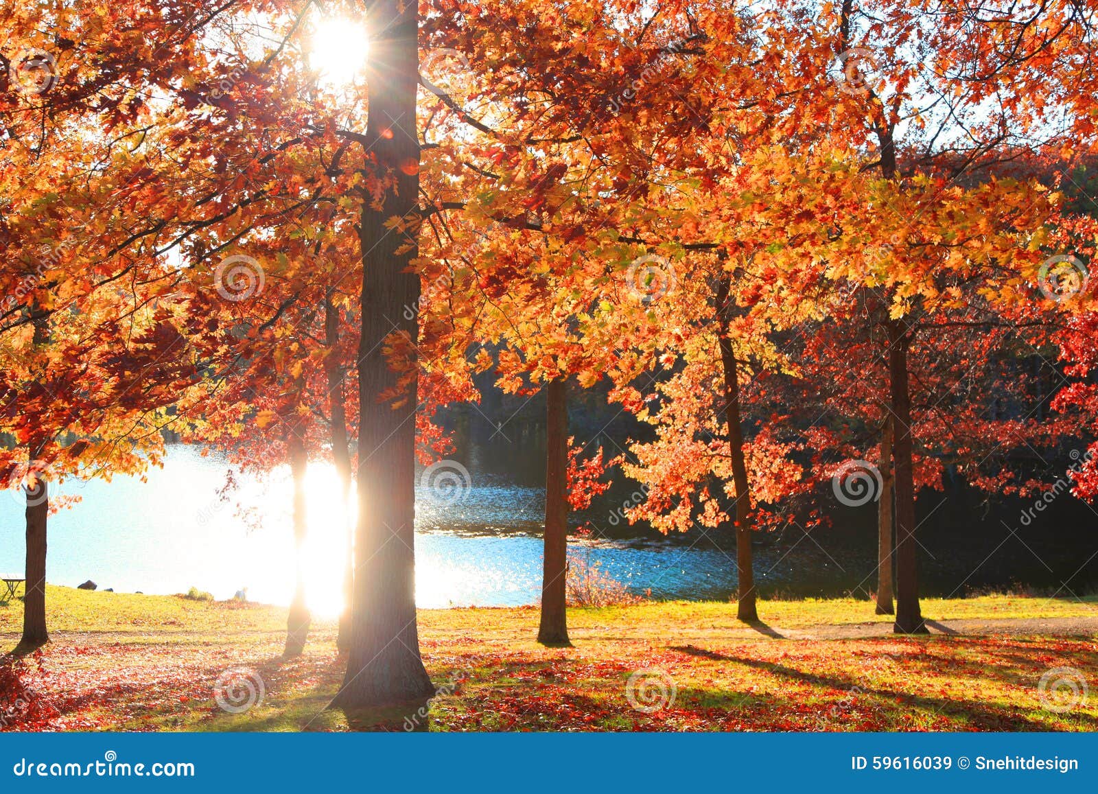 Sunny autumn day stock image. Image of horizontal, october - 59616039
