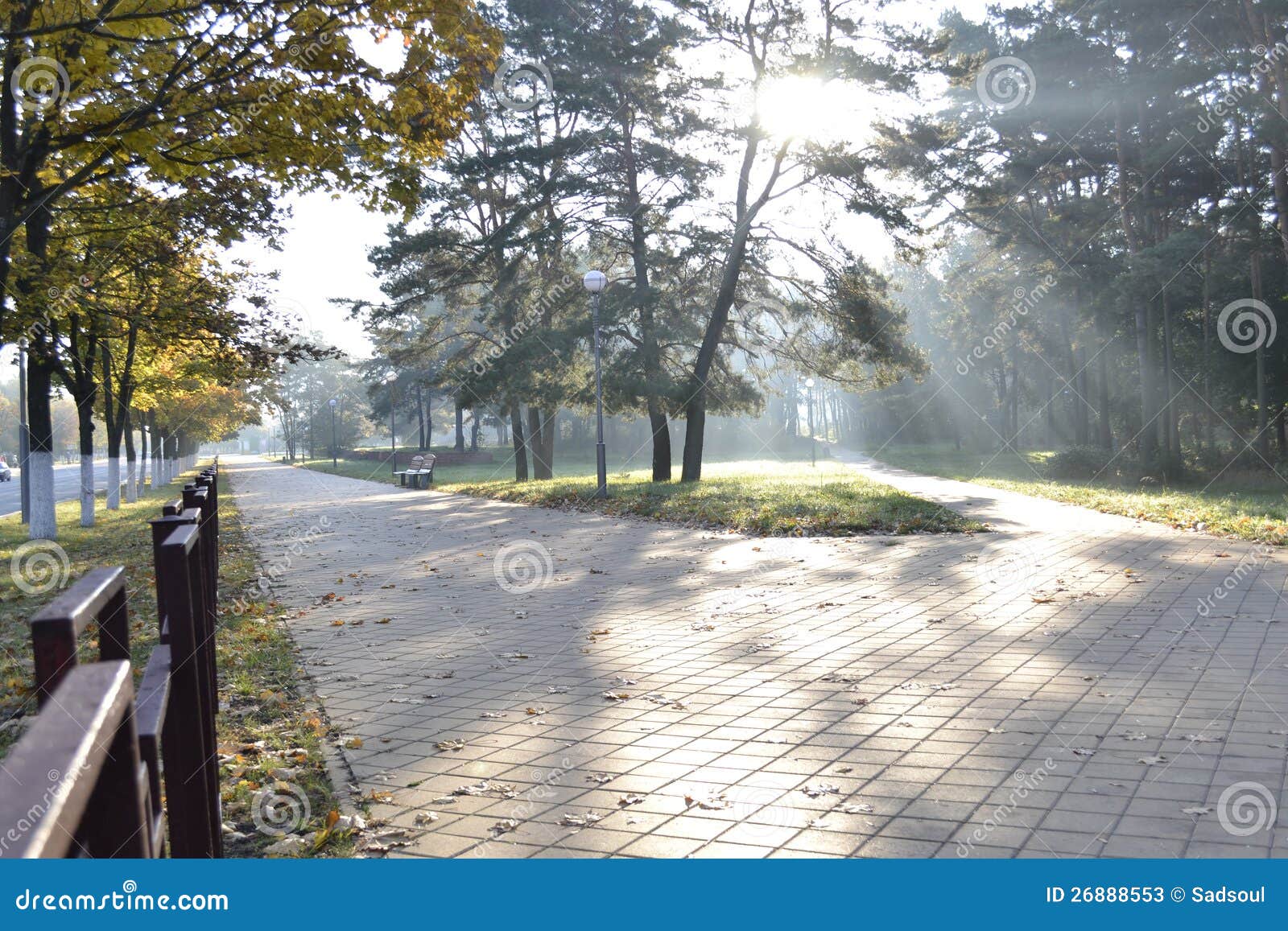 Sunny autumn morning stock image. Image of quietly, saunter - 26888553