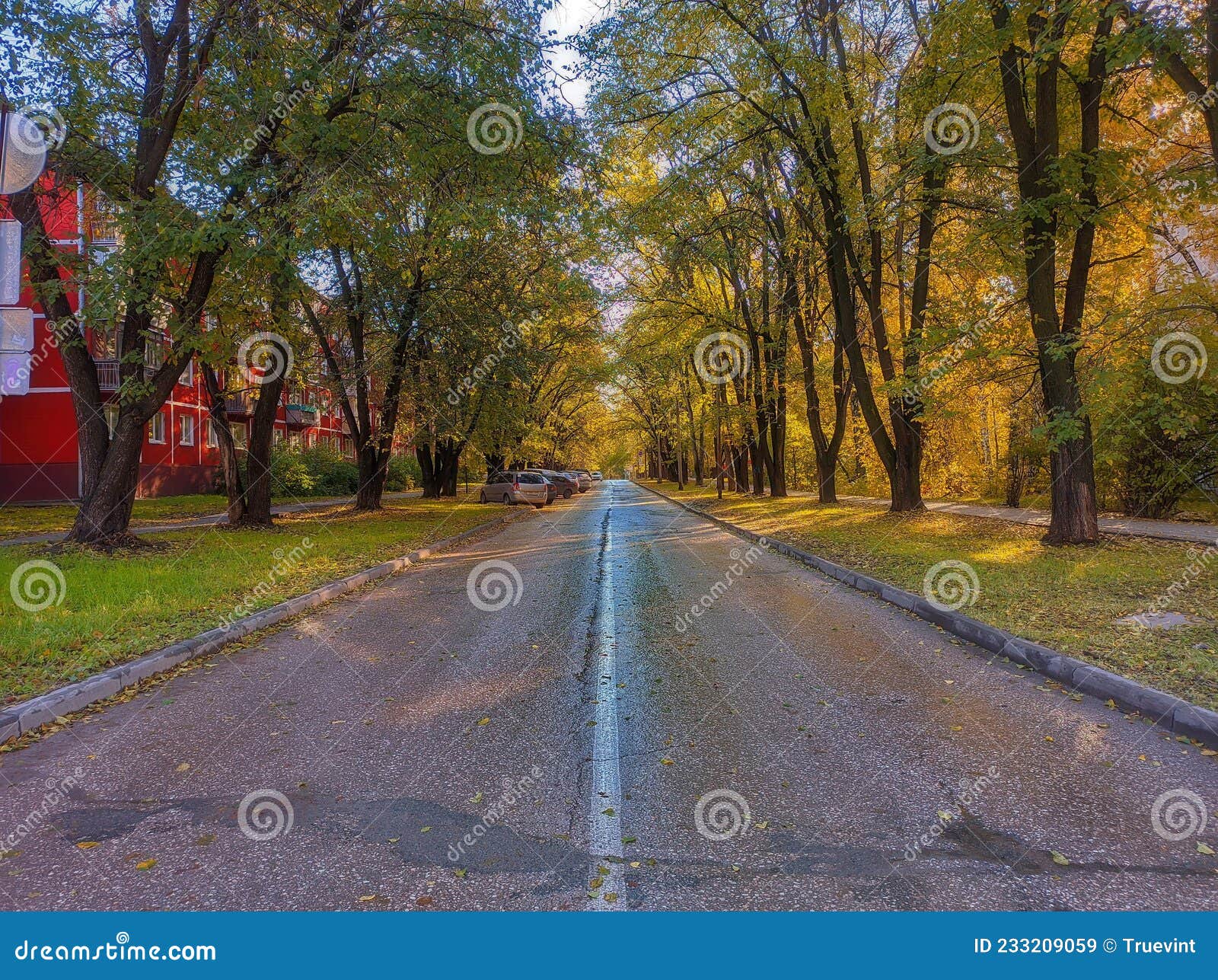 Sunny Autumn Morning stock image. Image of fall, street - 233209059