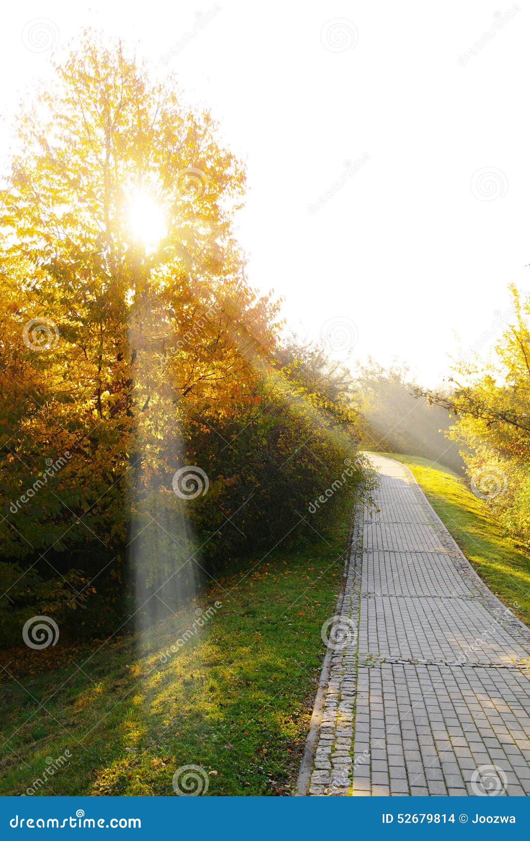 Sunny autumnal day stock photo. Image of footway, yellow - 52679814