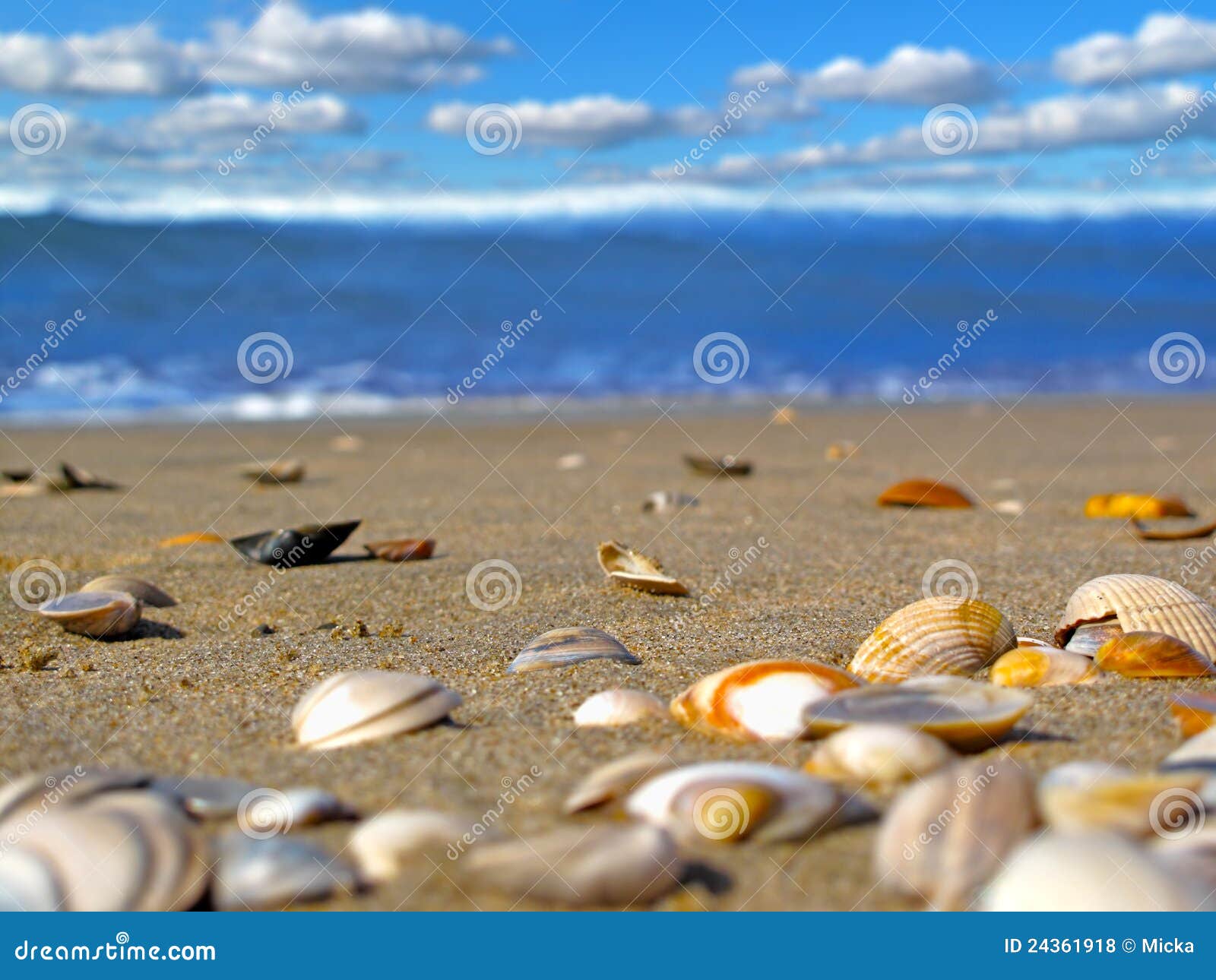 Sunny beach background stock photo. Image of clouds, marine - 24361918