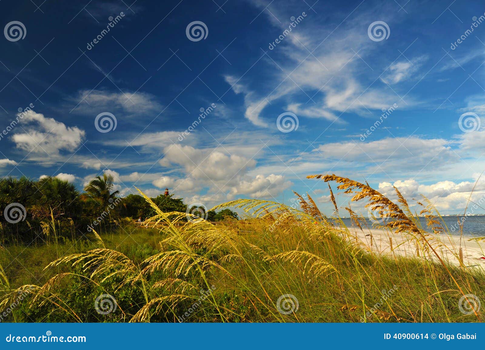 Sunny Beach of Western Florida Stock Photo - Image of ocean, beauty ...