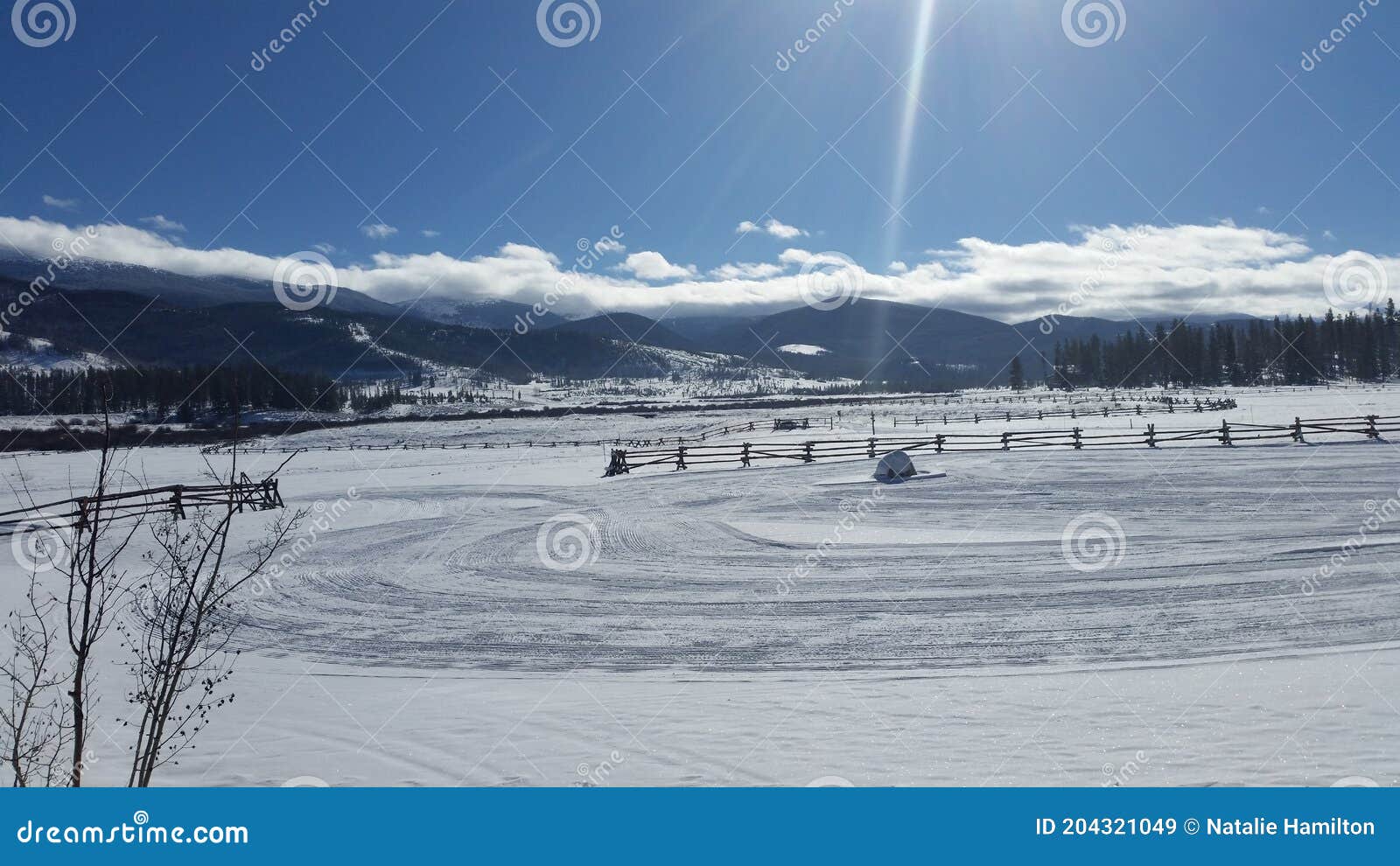 Sunny but cold stock image. Image of snow, sunny, freezing - 204321049