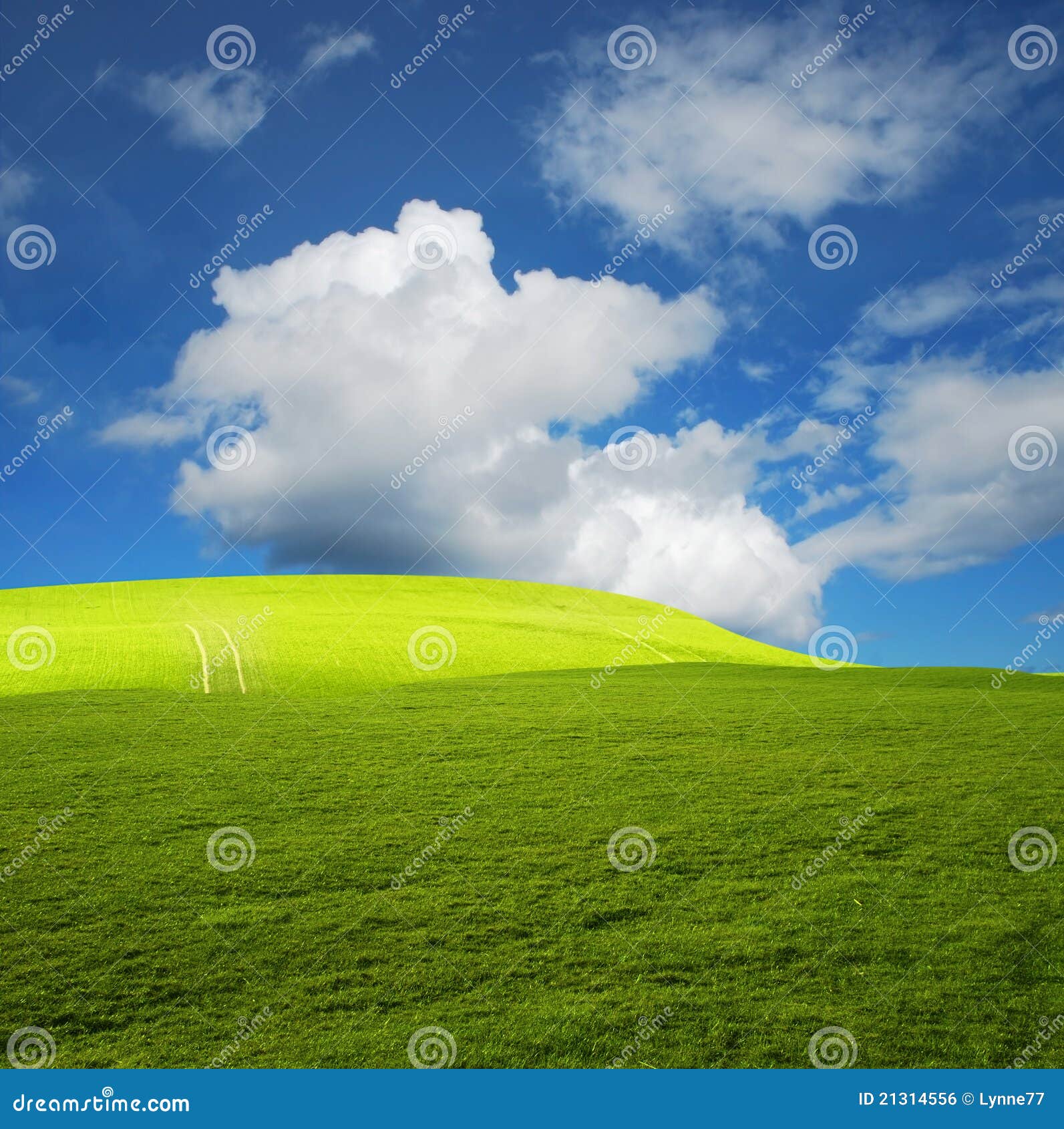 Sunny day stock photo. Image of nature, grass, outdoors - 21314556