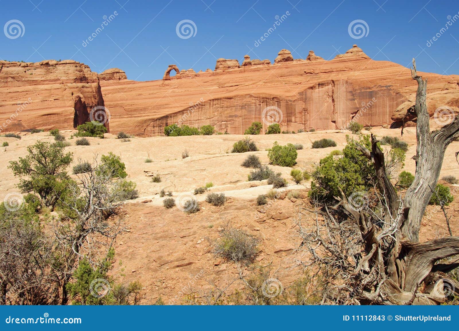 Sunny Day at Arches Canyon, Utah. USA Stock Image - Image of ...