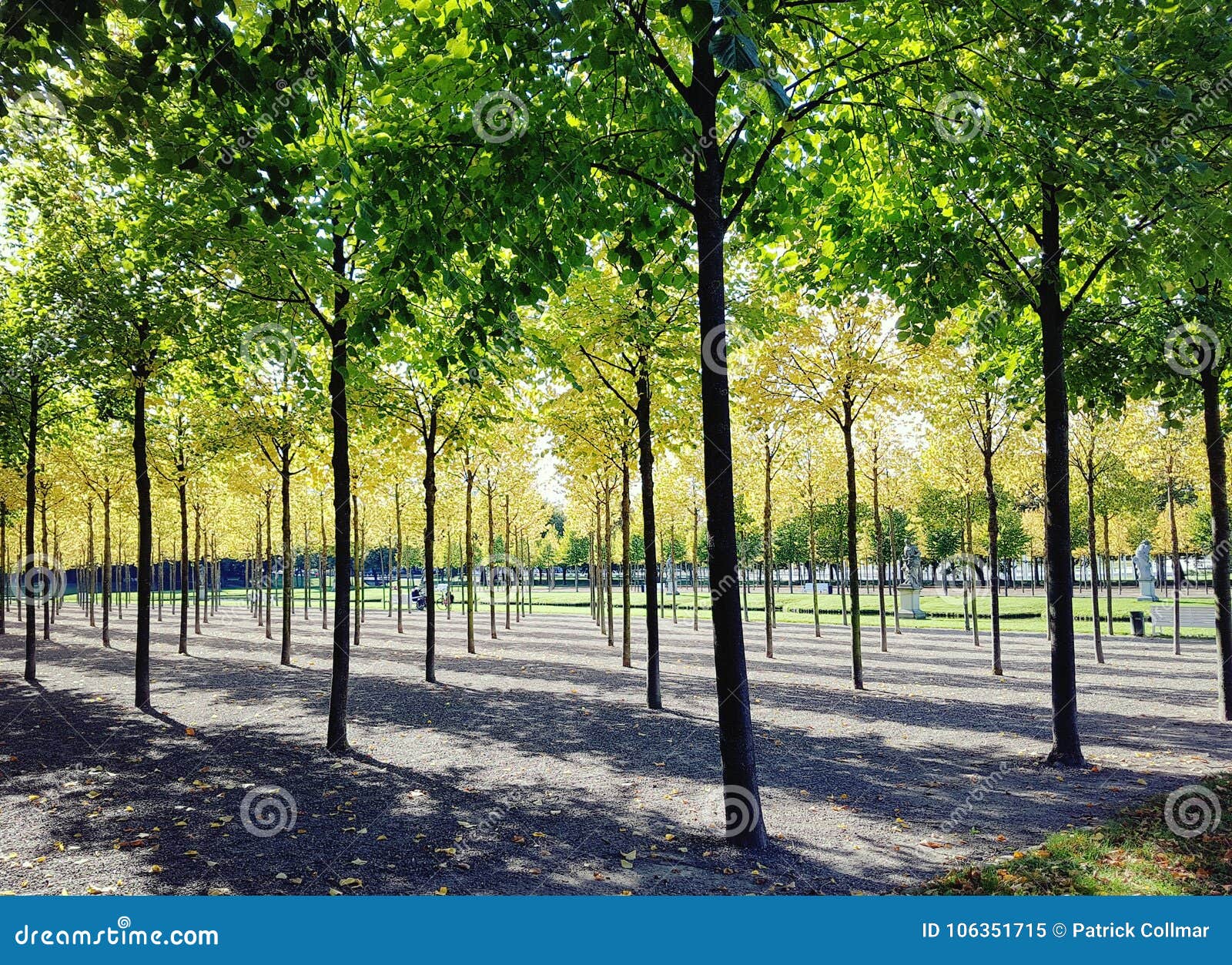 Sunny day in August stock image. Image of sunlight, sonne - 106351715