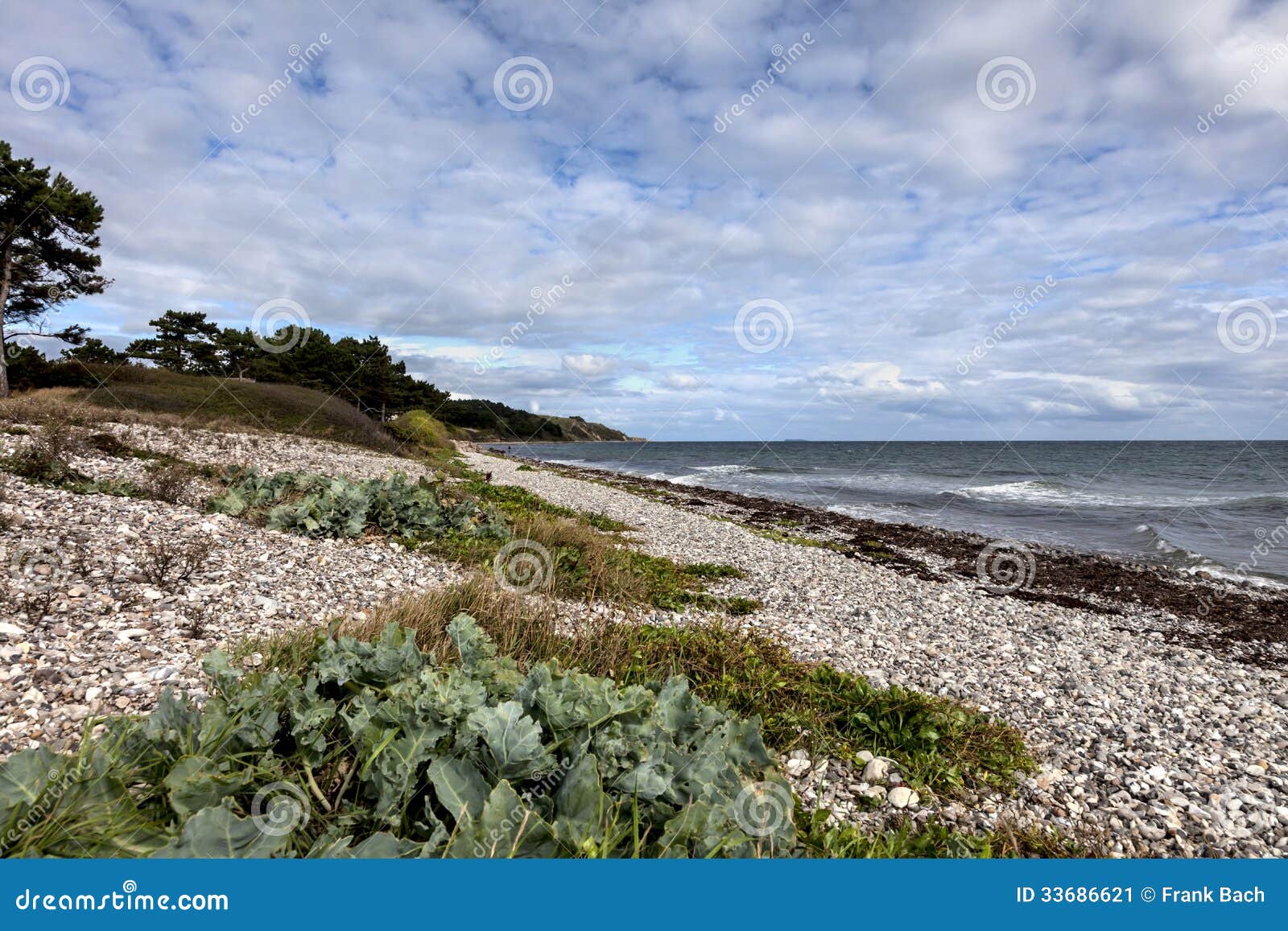 A Sunny Day on the Beach on Mols, Denmark Stock Image - Image of rock ...
