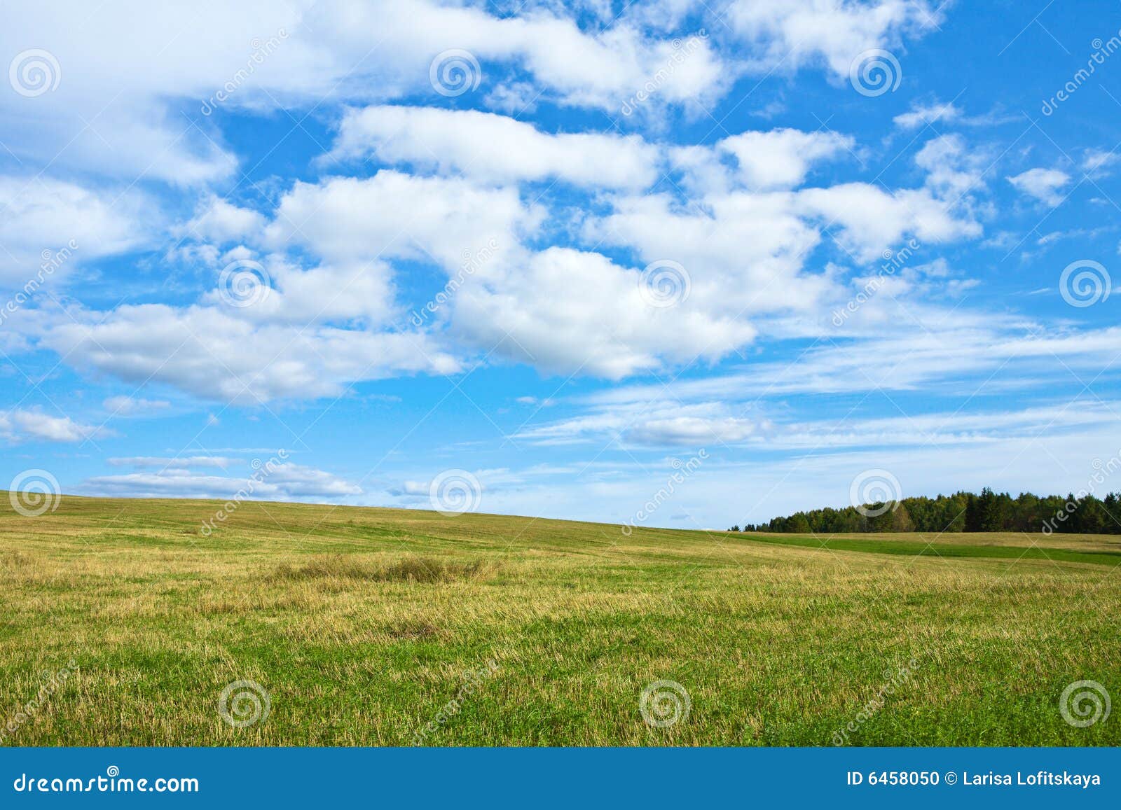 Sunny day with blue sky stock photo. Image of green, autumn - 6458050
