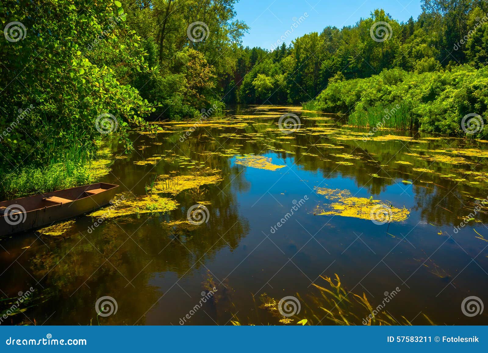 Sunny Day on a Calm River in Summer Stock Image - Image of meadow ...