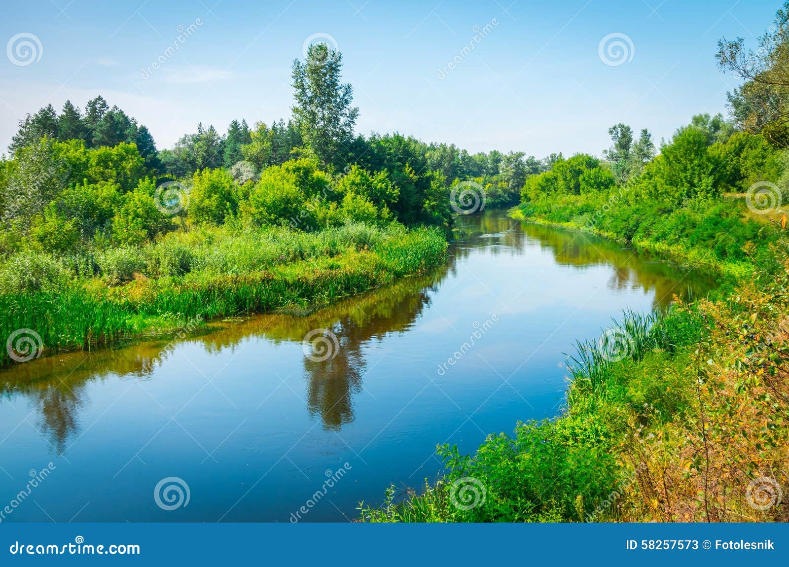 Sunny Day on a Calm River in Summer Stock Image - Image of horizon ...