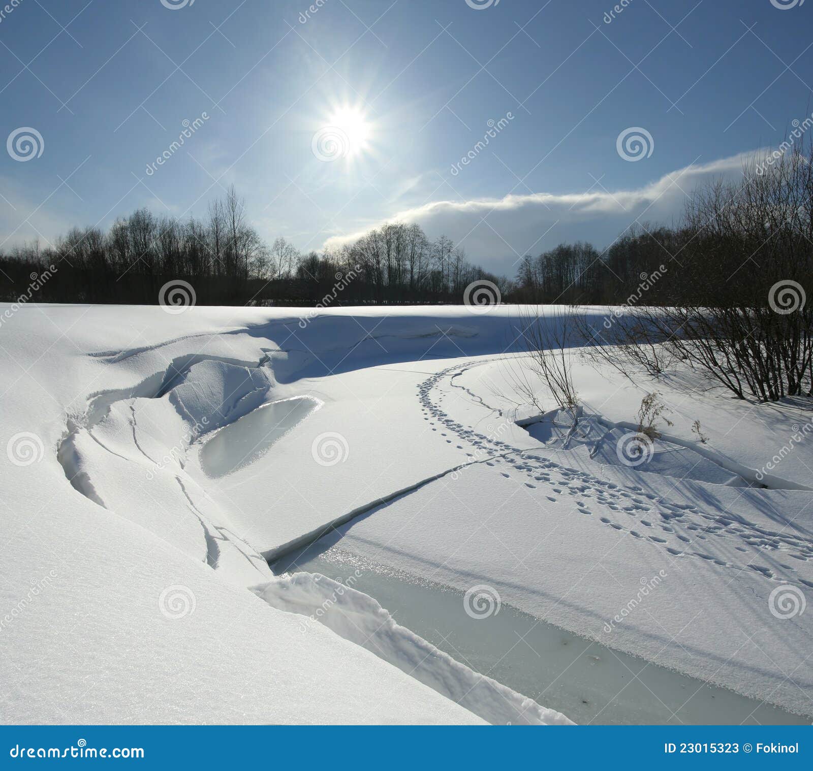 Sunny Day in the End of Winter Stock Image - Image of frost, snow: 23015323