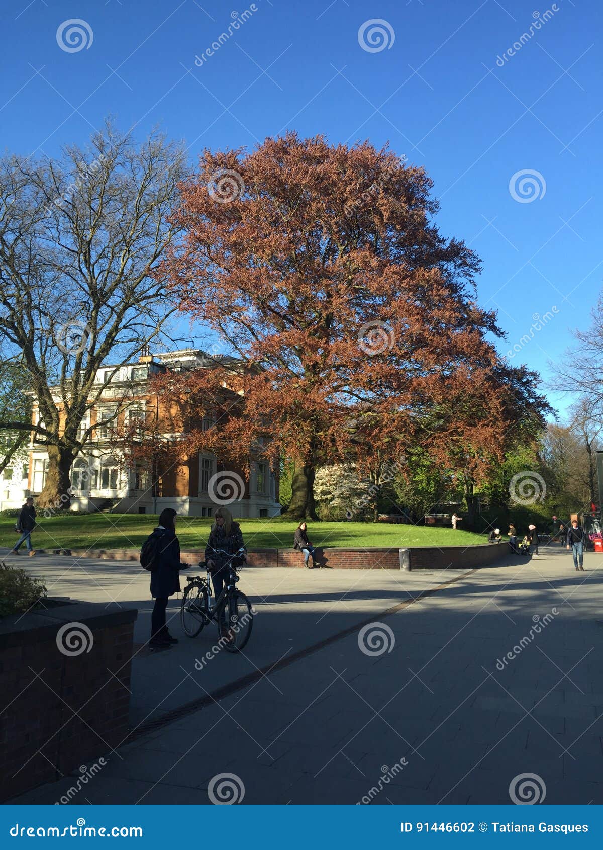 Sunny Day in Hamburg, Germany Editorial Photography - Image of city ...