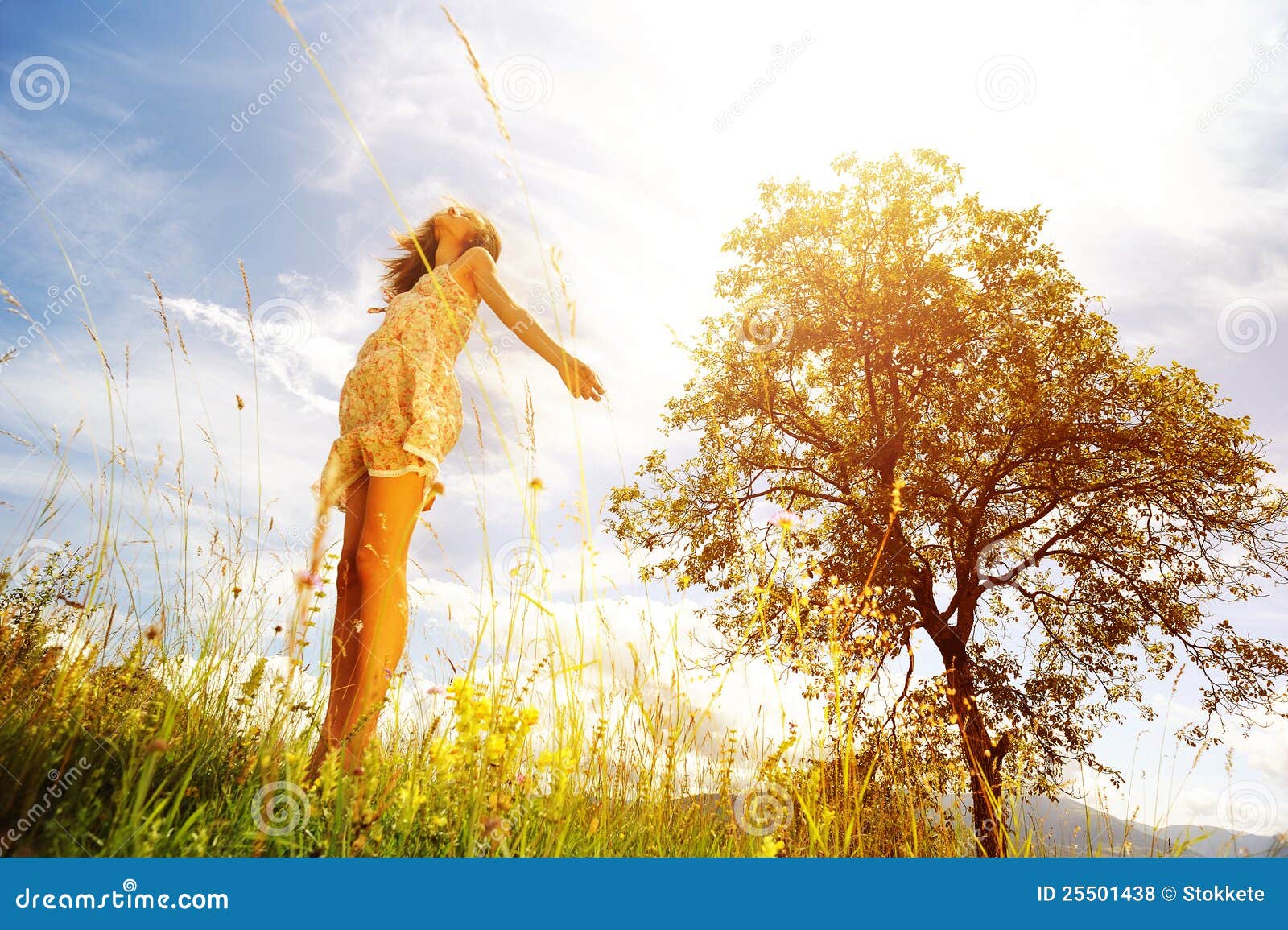 Sunny Day and Joy of Living Stock Photo - Image of happy, environment ...
