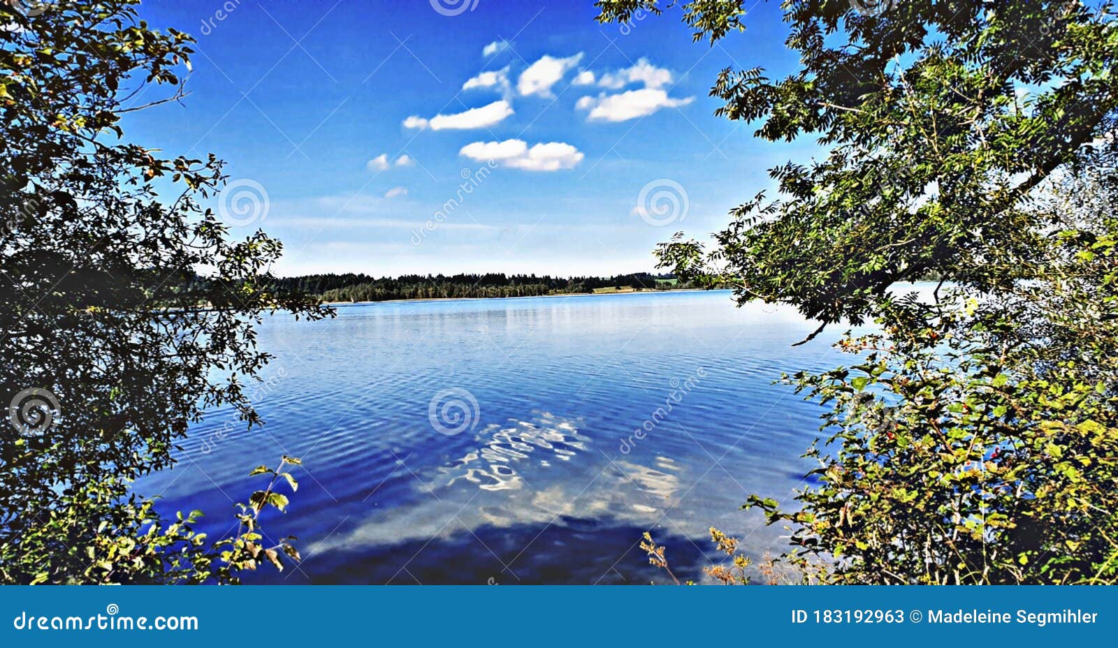 Sunny day on the lake stock image. Image of tree, lake - 183192963