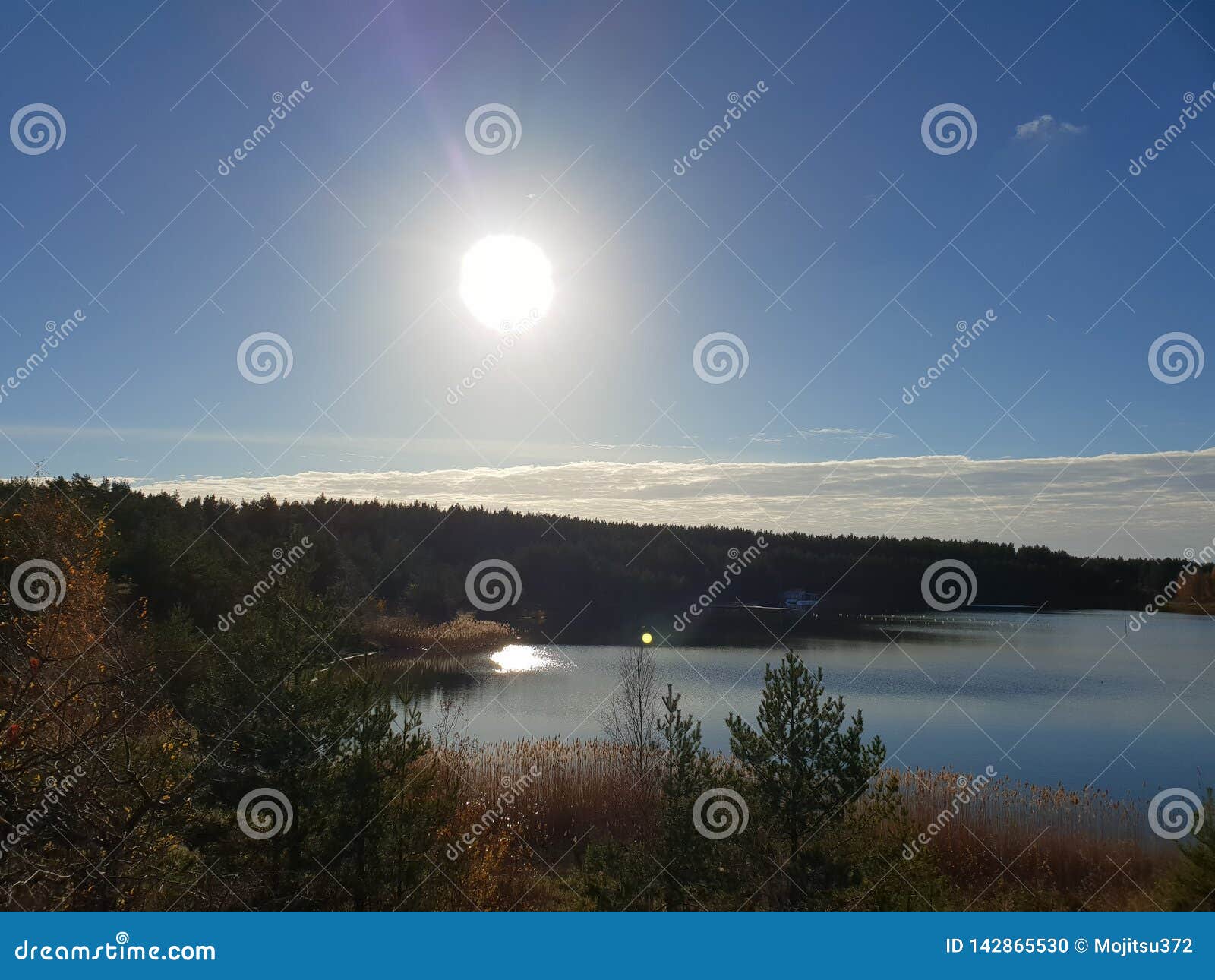 Sunny day by the lake stock photo. Image of blue, nature - 142865530
