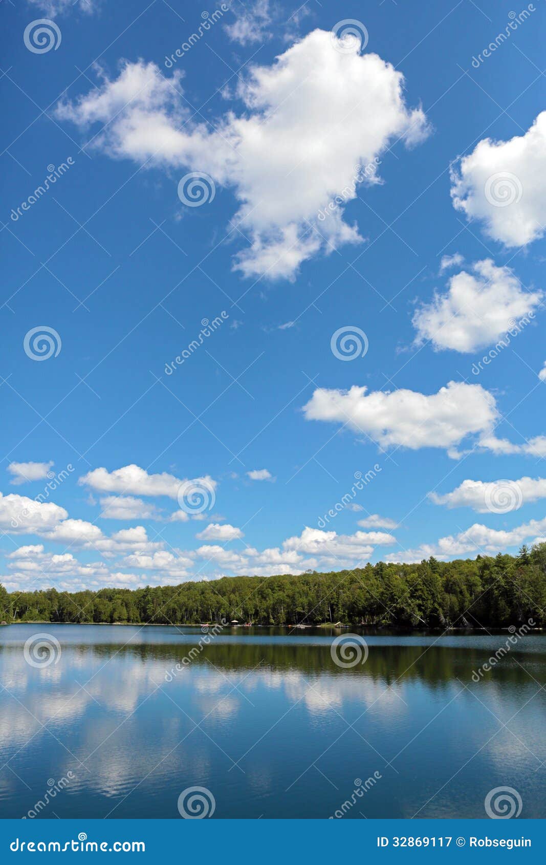 Sunny day lake stock image. Image of forest, water, blue - 32869117