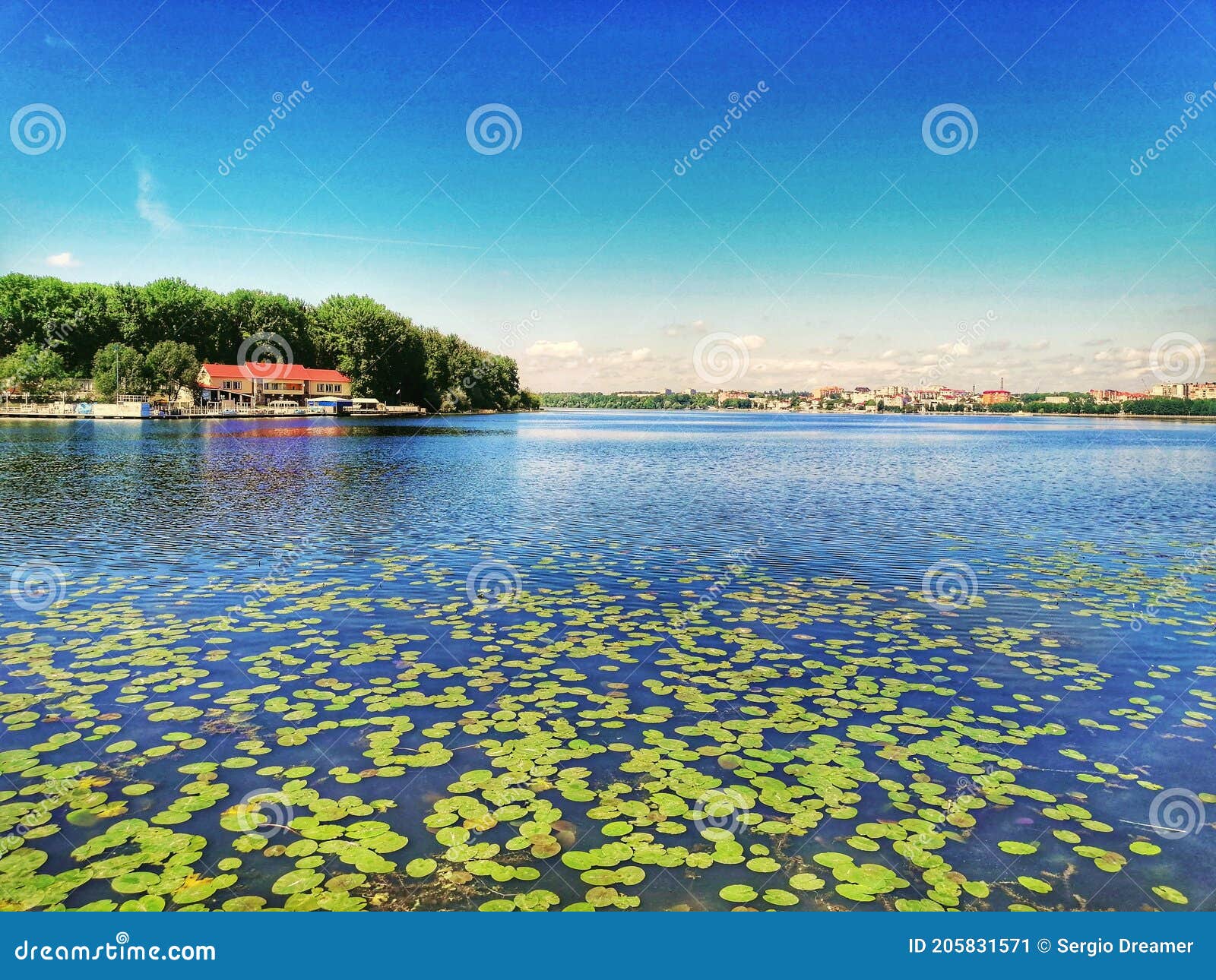 Sunny day on the lake. stock image. Image of reflection - 205831571