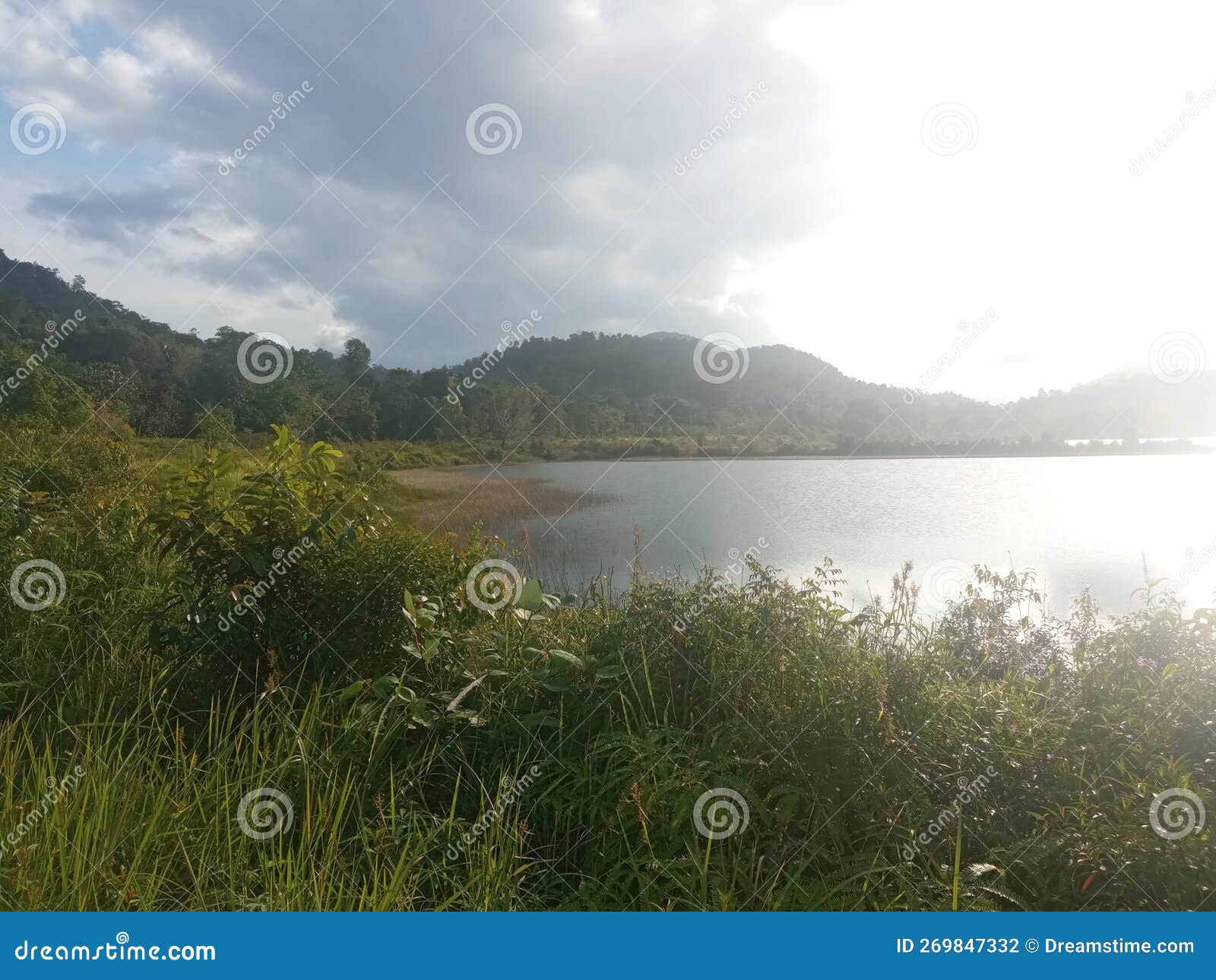 Sunny Day at the Lake with the Hill and Bush Stock Photo - Image of ...