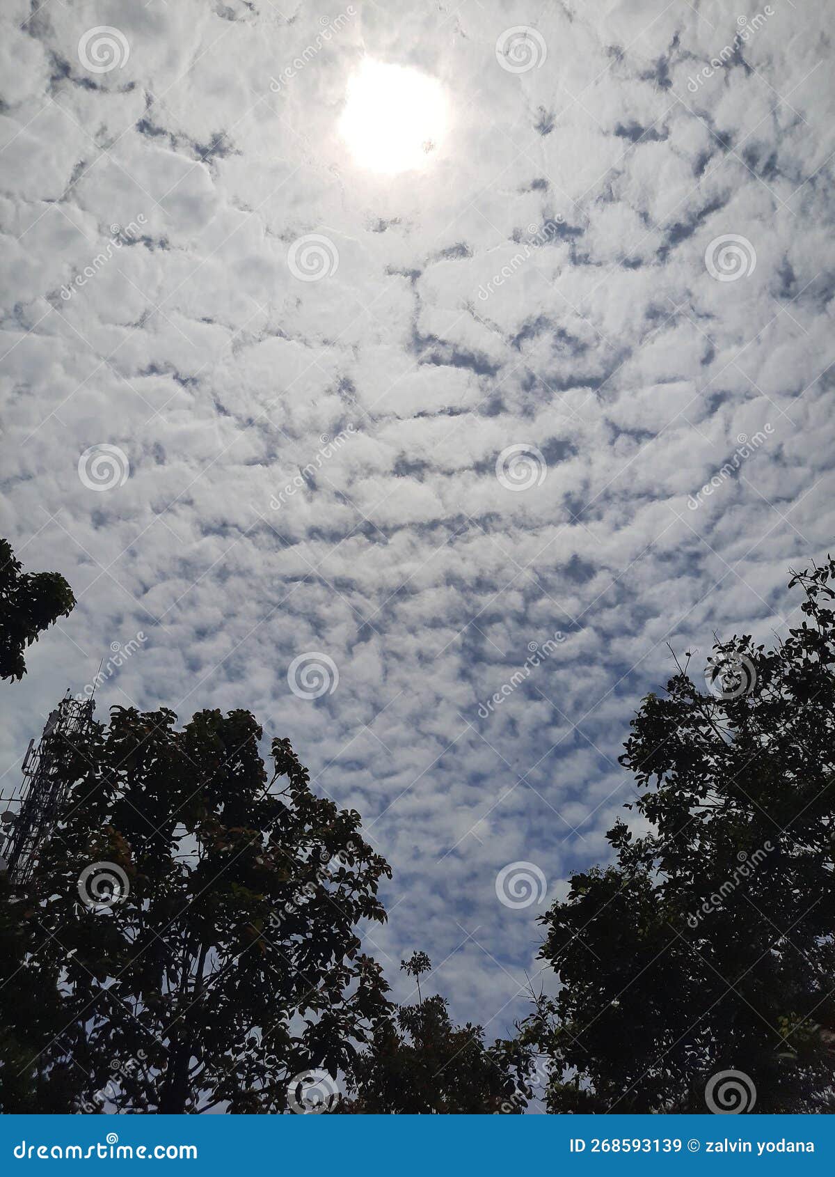 Sunny Day in the Middle of Rainy Season Stock Image - Image of sunny ...