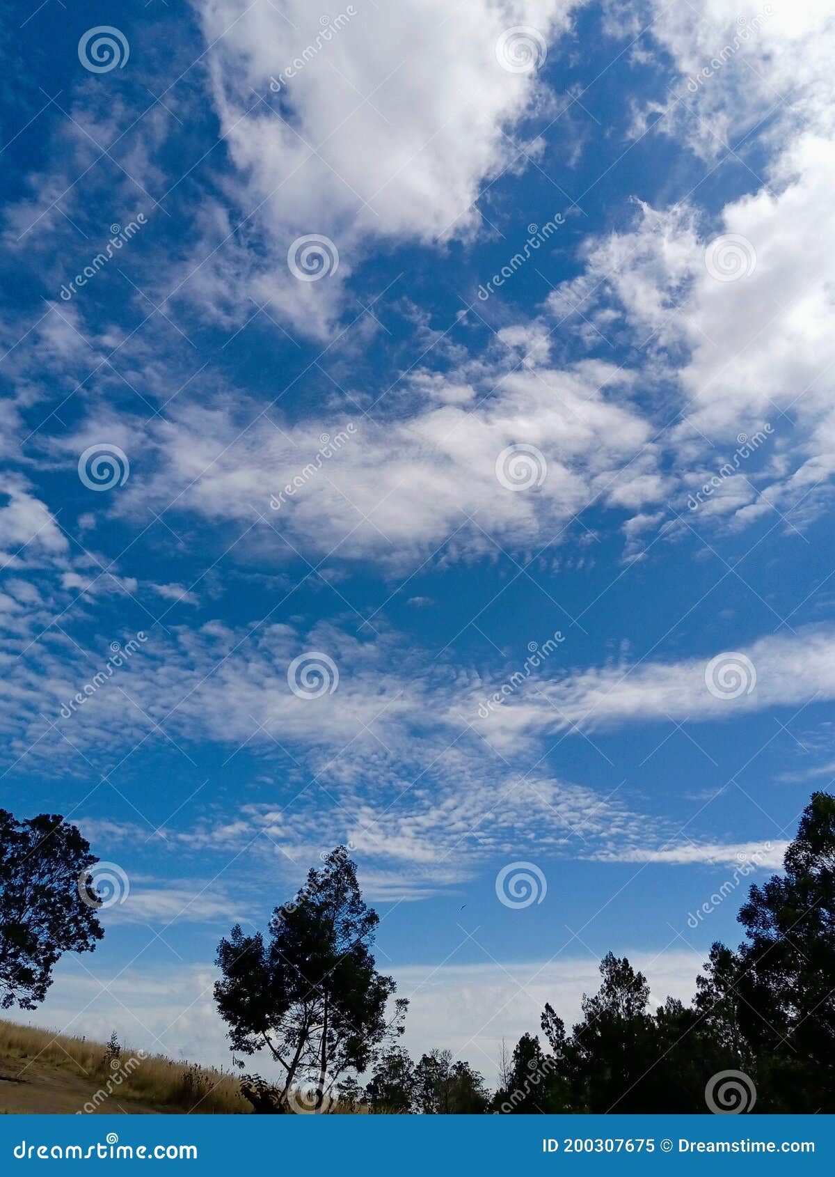 Sunny day in the morning stock image. Image of nature - 200307675