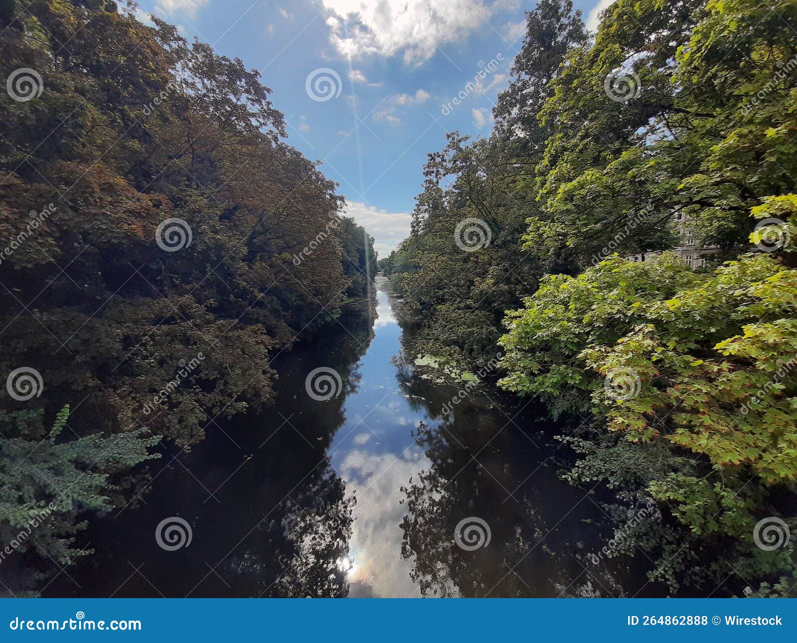 A calm river among trees stock photo. Image of landscape - 264862888