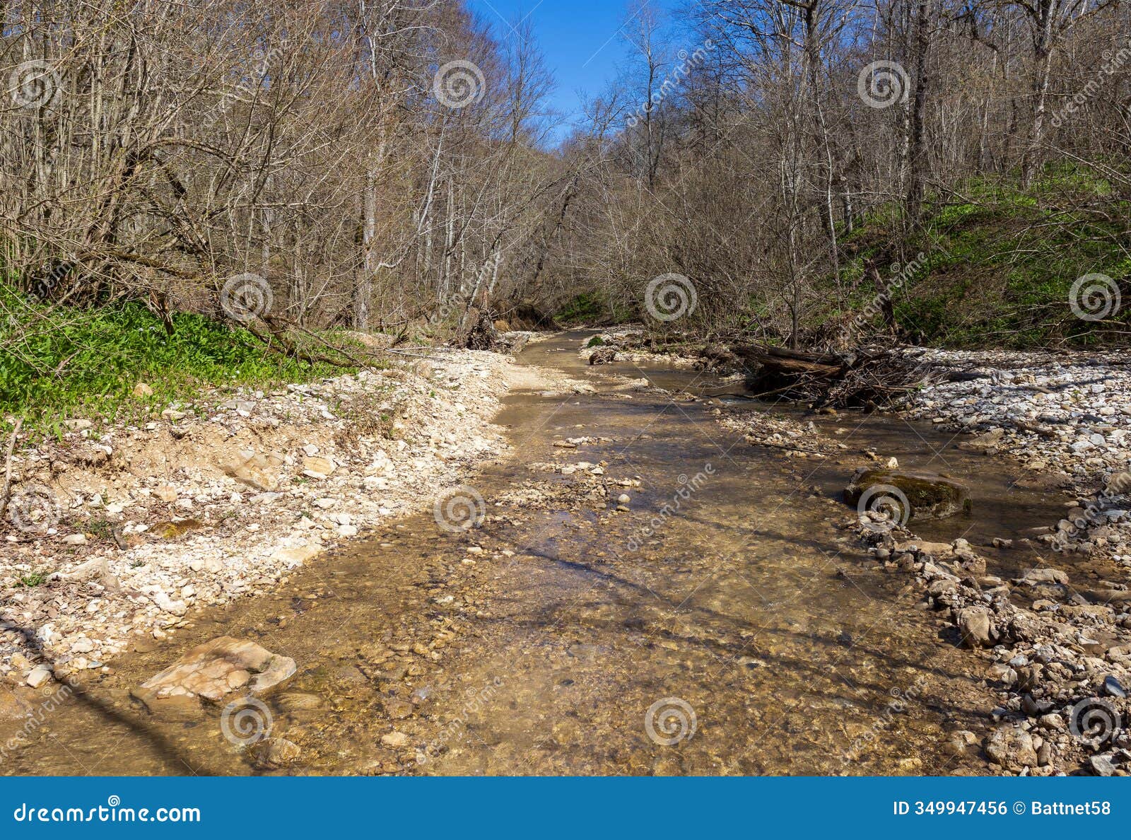 A Sunny Day, A Nature Park, A Walk Along The Canyon Of The River With ...
