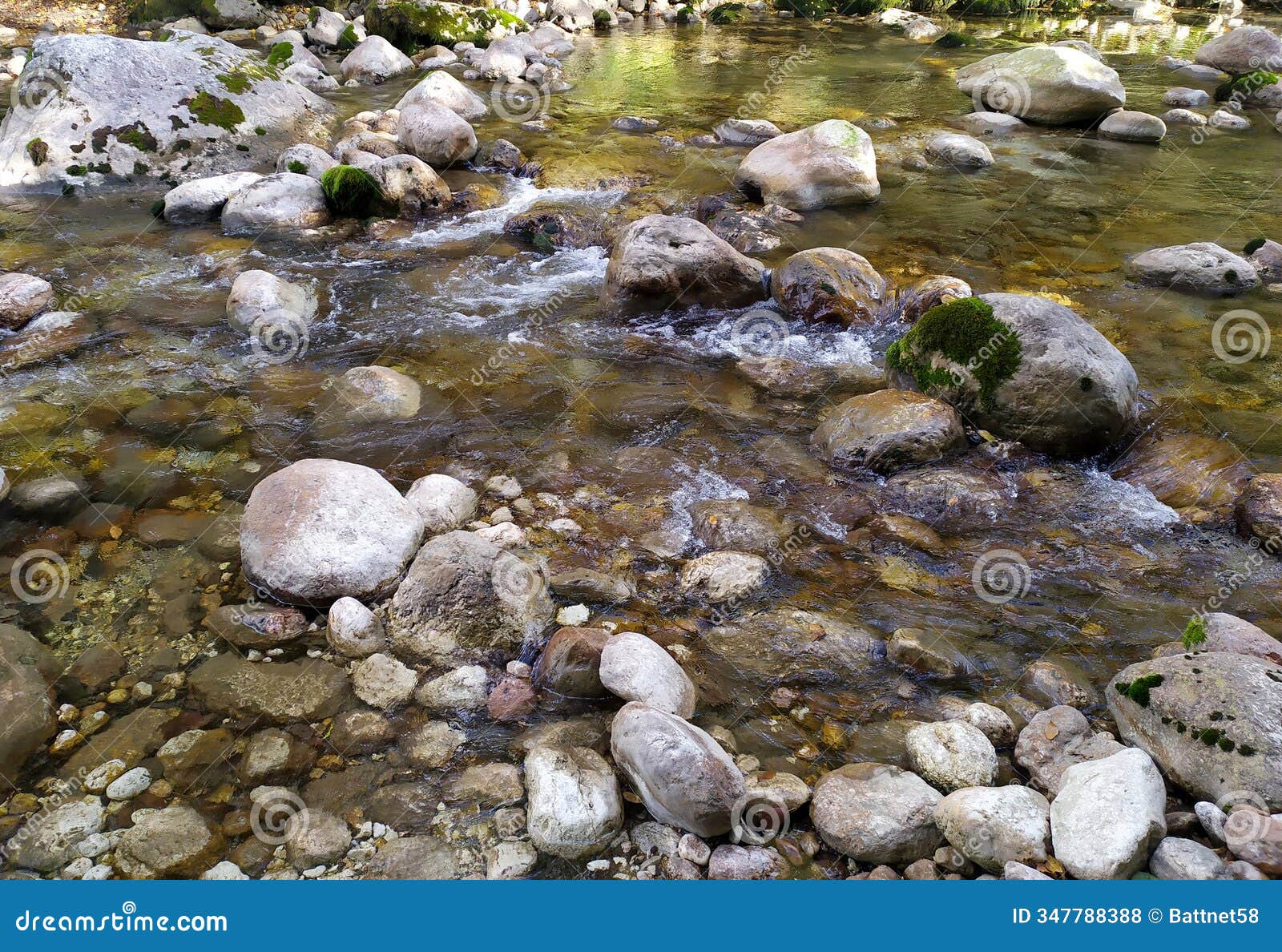 The Source of the River in the Wild, a Walk Along the Riverbed with an ...