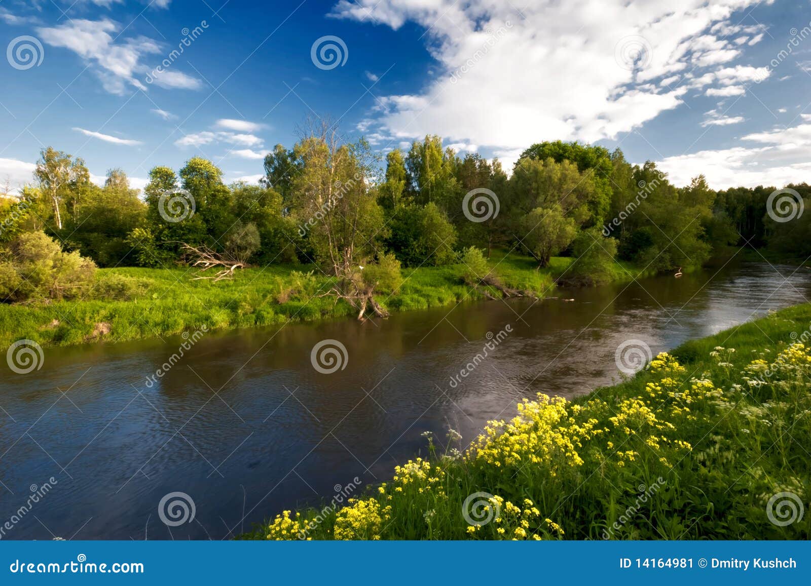 Sunny day near the river stock image. Image of outdoor - 14164981