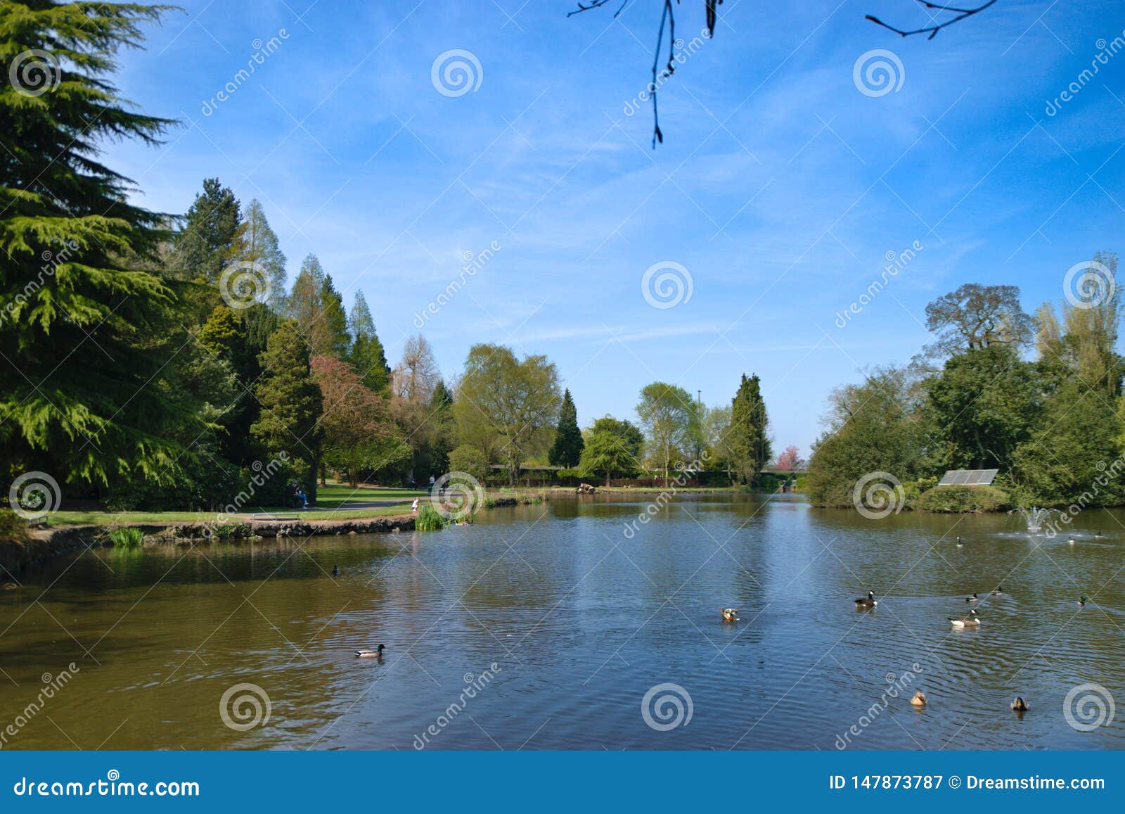 Sunny day in the park stock image. Image of scene, trees - 147873787