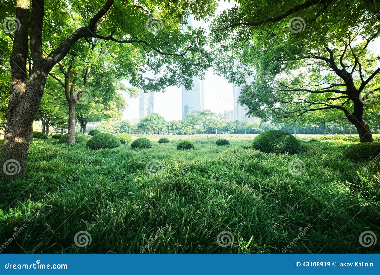 Sunny day in park stock image. Image of blue, downtown - 43108919