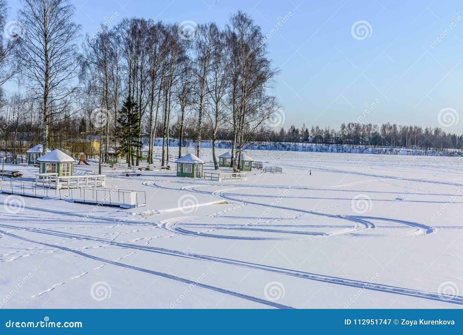 A Sunny Day in a Pine Forest in Early Spring. Stock Image - Image of ...