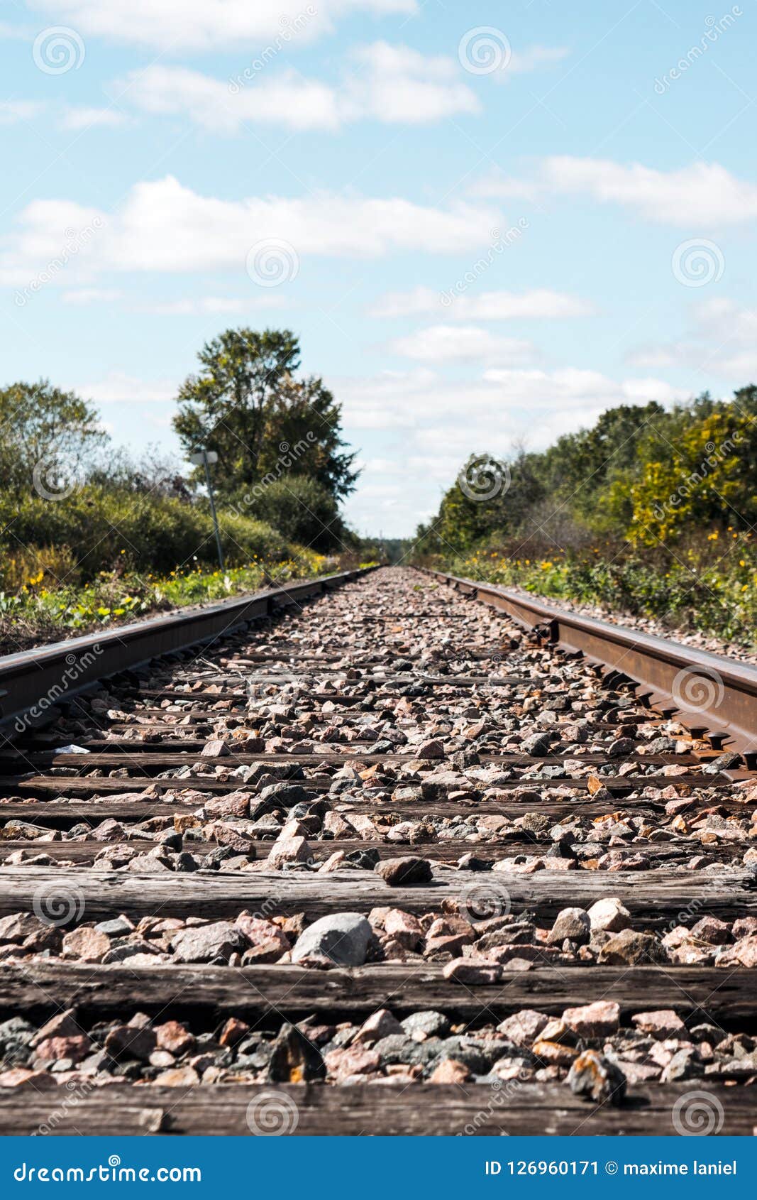 A Sunny Day on the Railroad Stock Image - Image of steel, rusty: 126960171