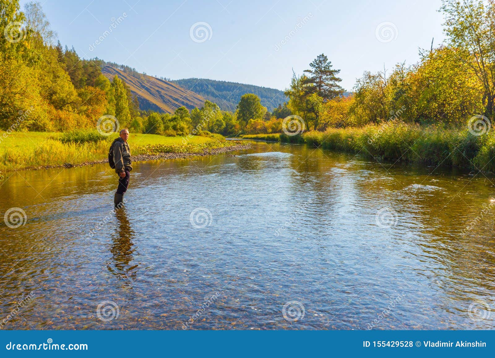 Sunny day on the river. stock photo. Image of green - 155429528
