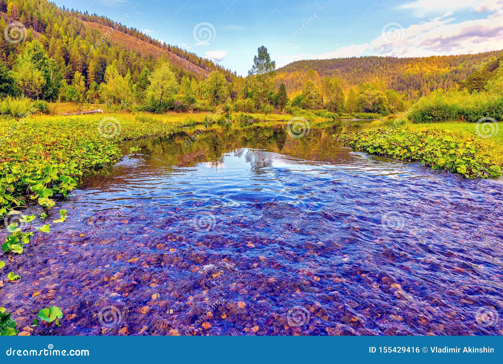 Sunny day on the river. stock photo. Image of gray, green - 155429416
