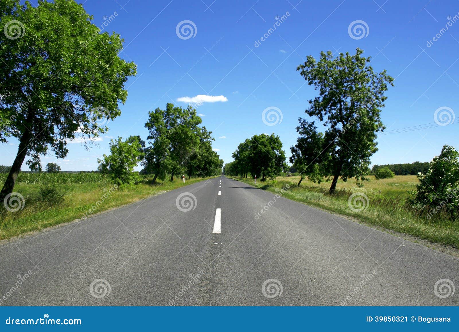 Sunny day road stock image. Image of journey, line, forward - 39850321