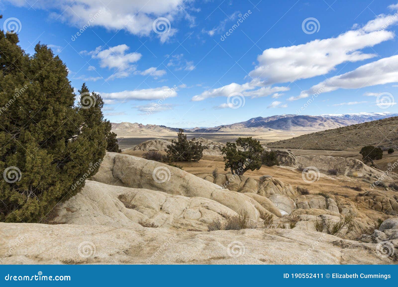 Sunny Day among Rock Fields Trees and Desert Looking Out from Moonrocks ...