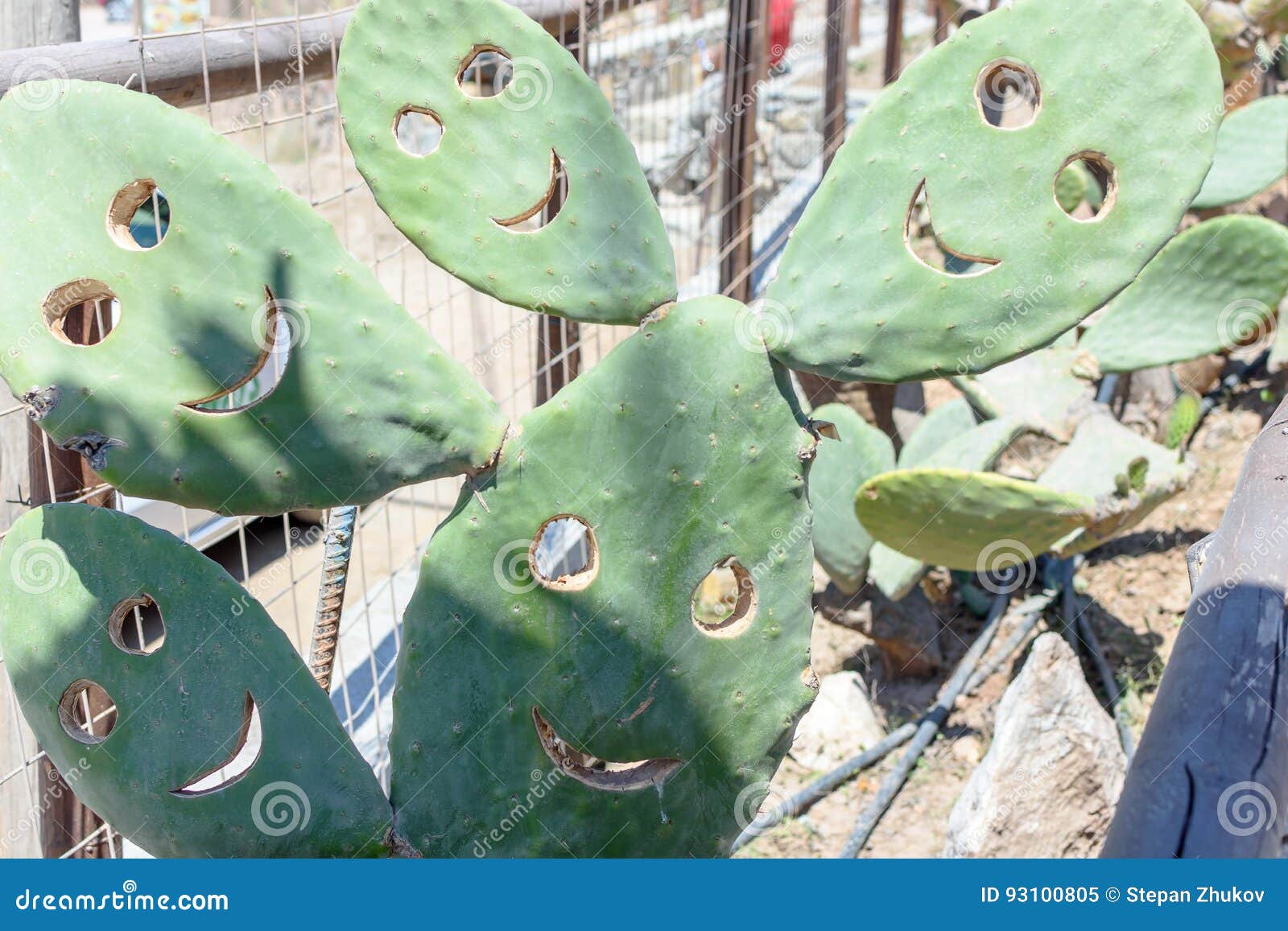 On a Sunny Day Smiling Smiley of Cactus Stock Image - Image of applique ...