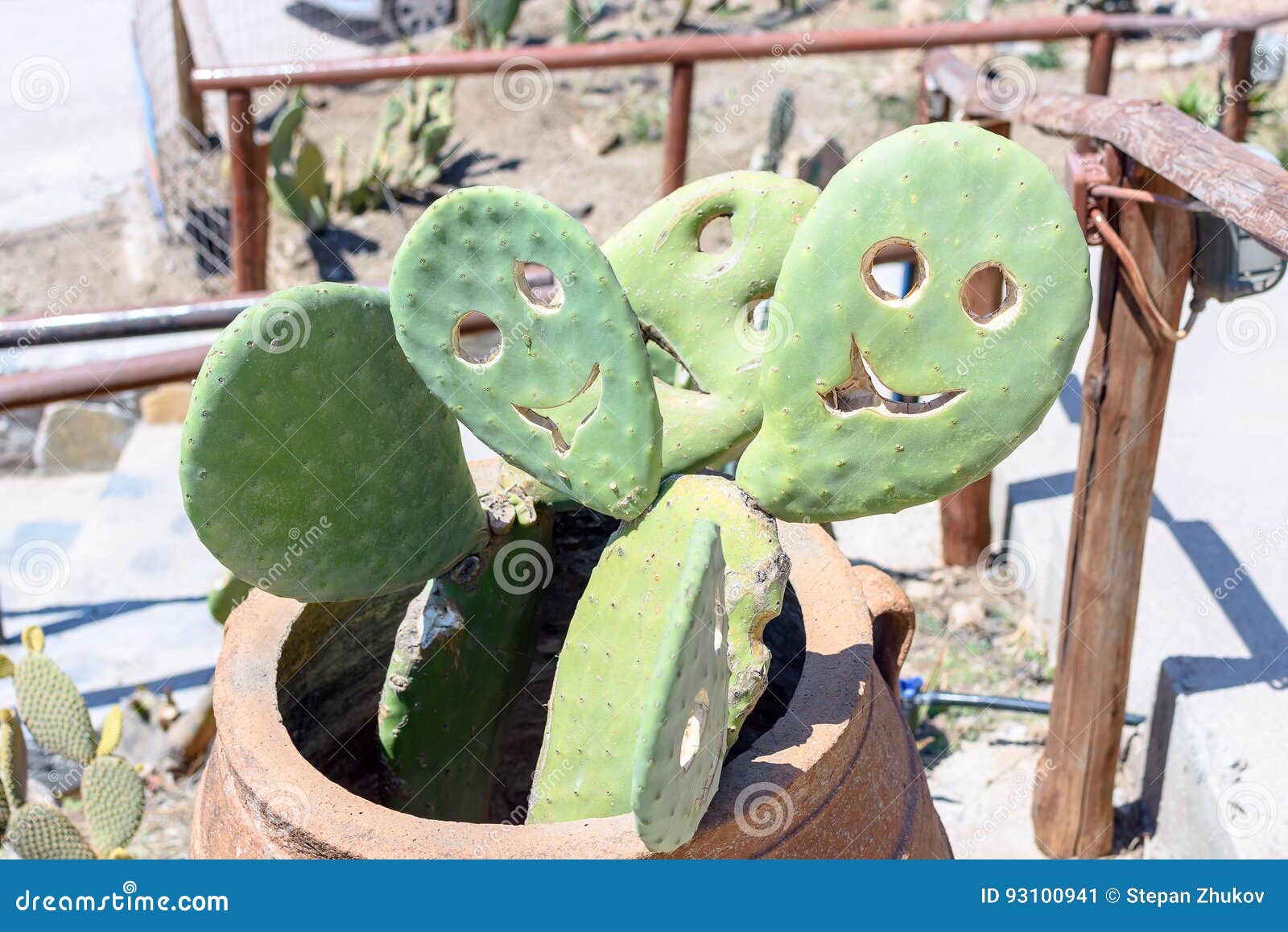 On a Sunny Day Smiling Smiley of Cactus Stock Image - Image of comic ...
