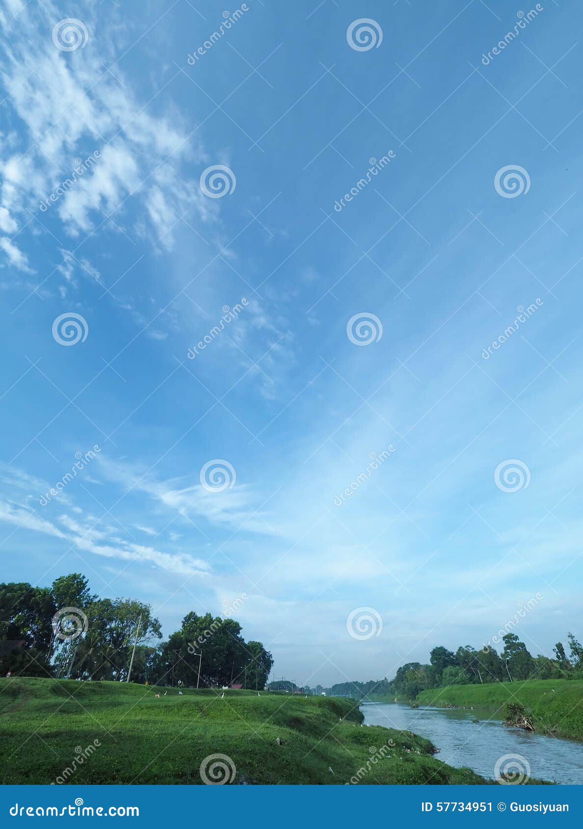 A sunny day stock image. Image of tropical, nature, freedom - 57734951