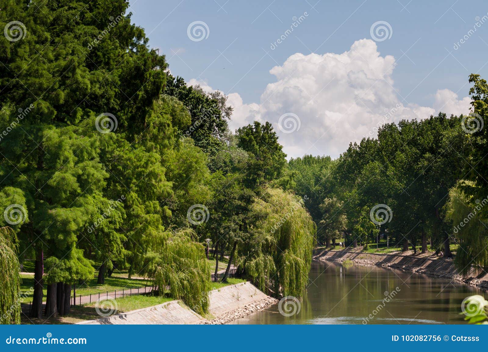 Sunny Day View of a River in a Park Stock Photo - Image of lawn, nature ...