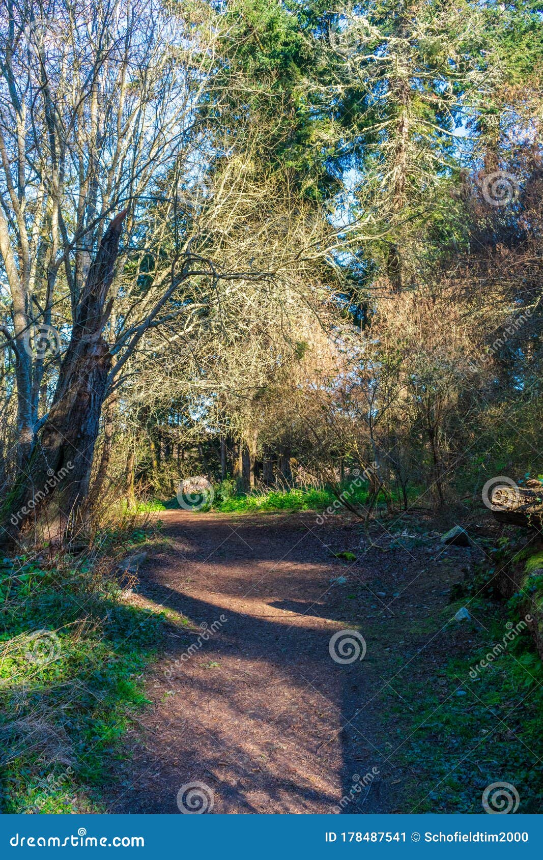 Sunny Day Walk stock image. Image of light, outdoor - 178487541